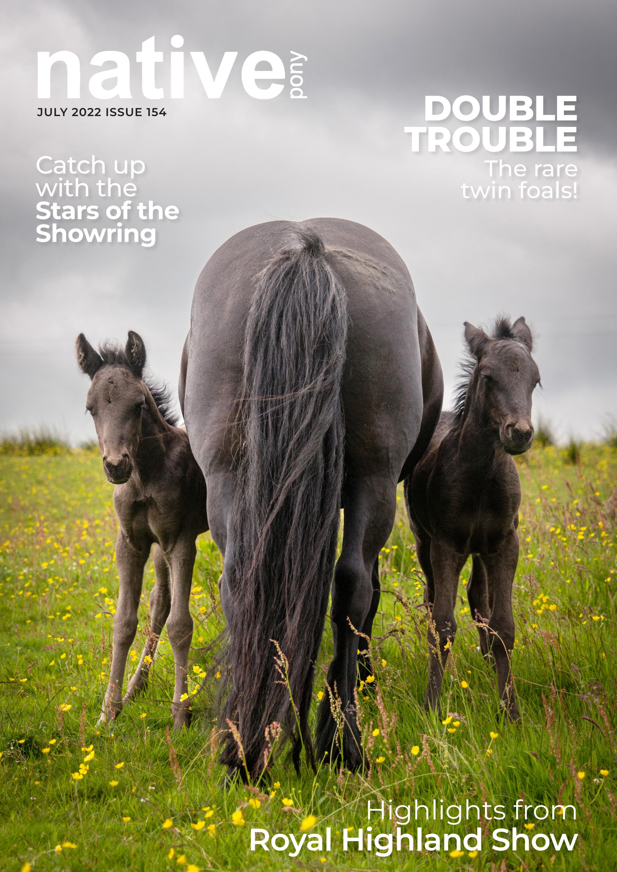 Native Pony July 2022 (154) by showingworld - Issuu