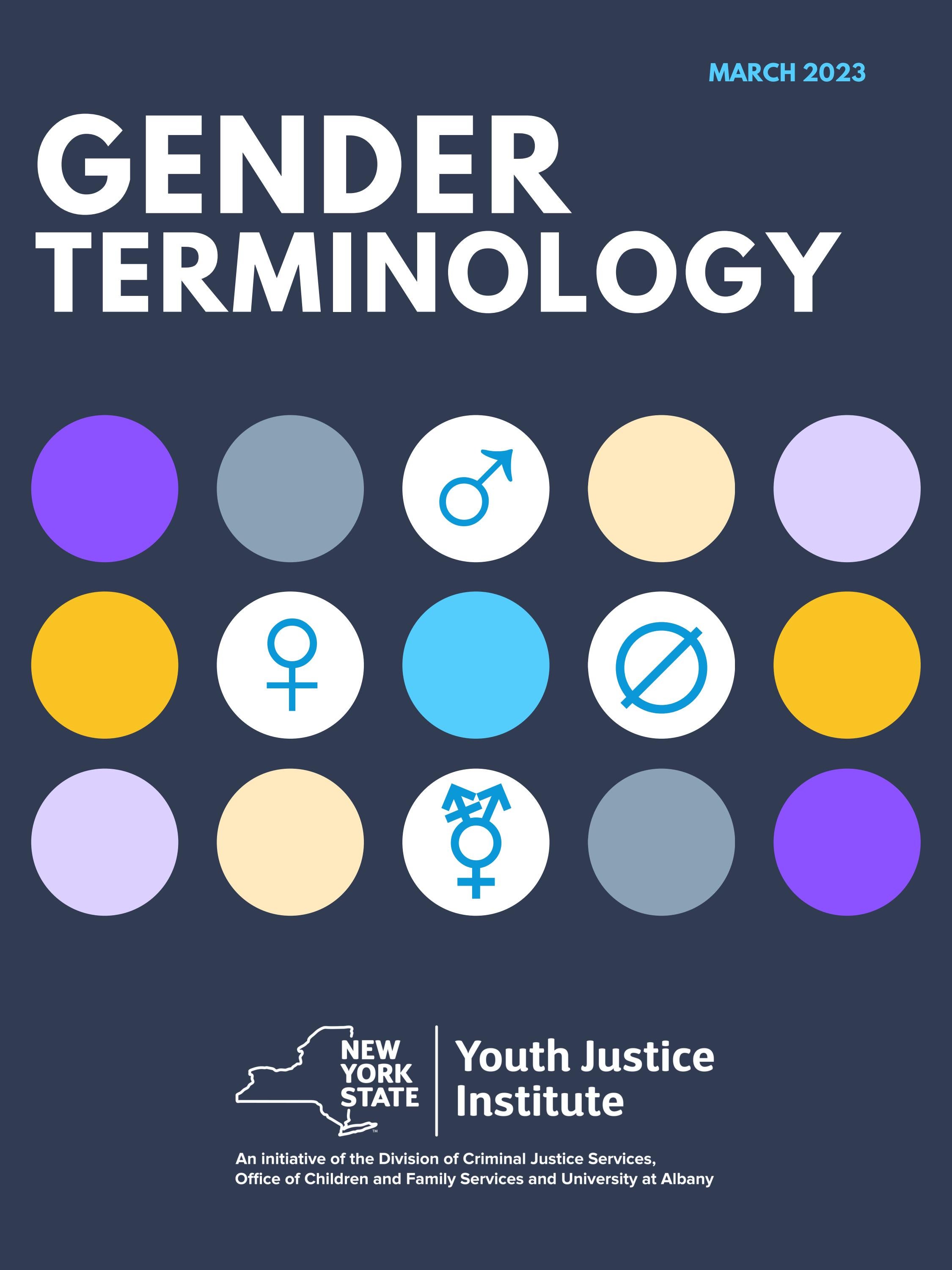 Gender Terminology Overview - NYS Youth Justice Institute by ...