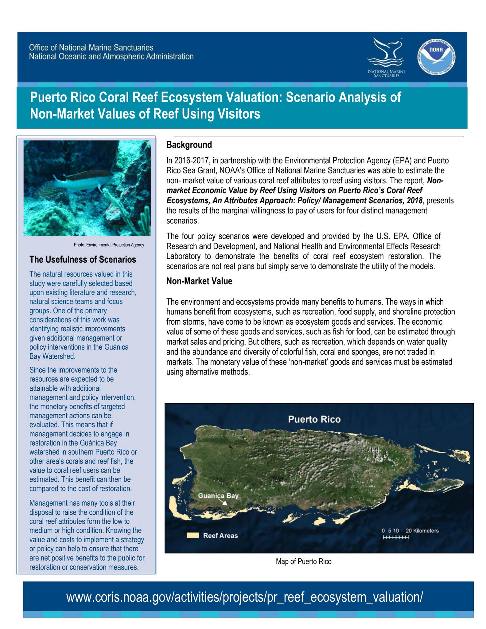 Puerto Rico Coral Reef Ecosystem Valuation - Project Overview by Puerto ...