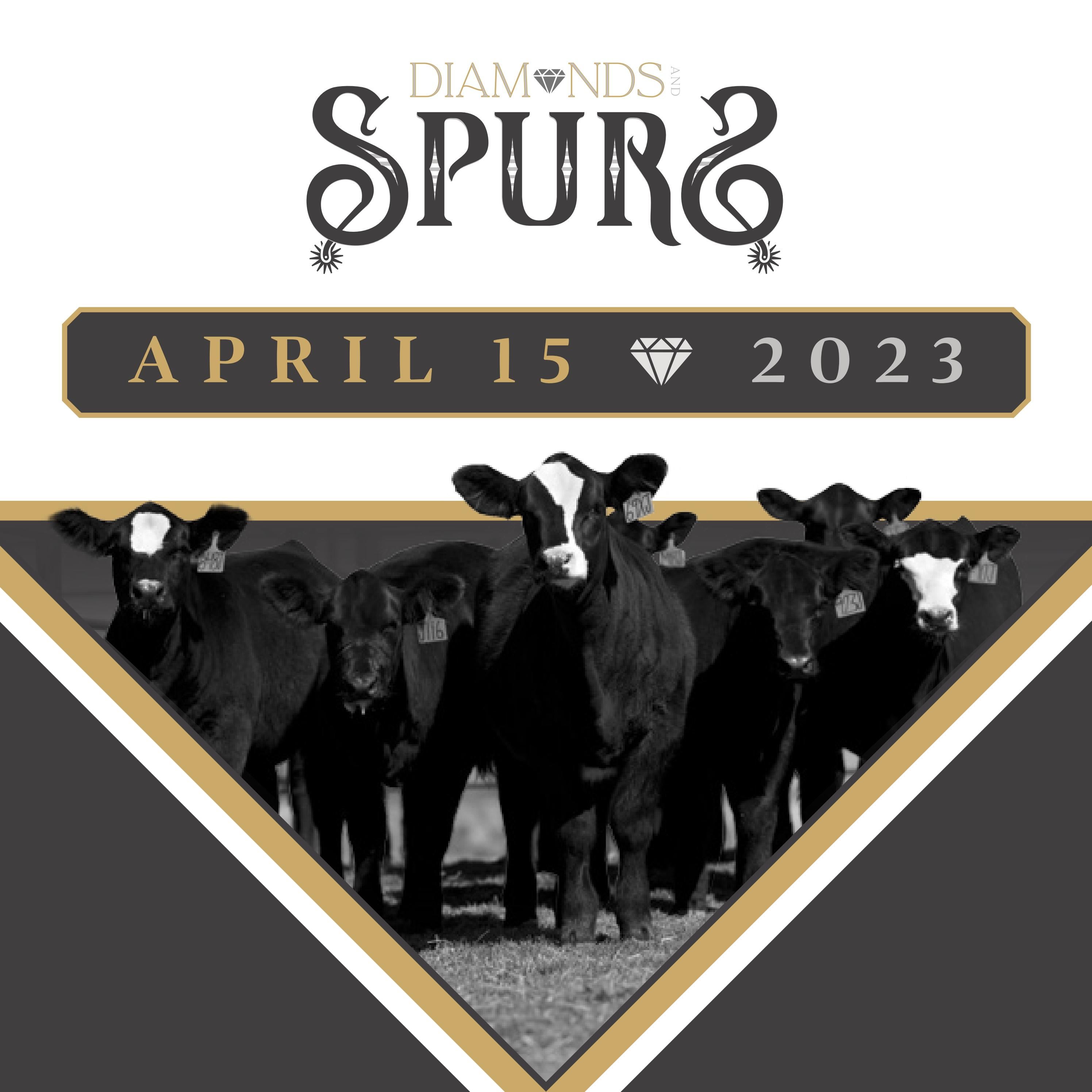2023 Diamonds & Spurs Annual Production Sale by margopaeltz - Issuu
