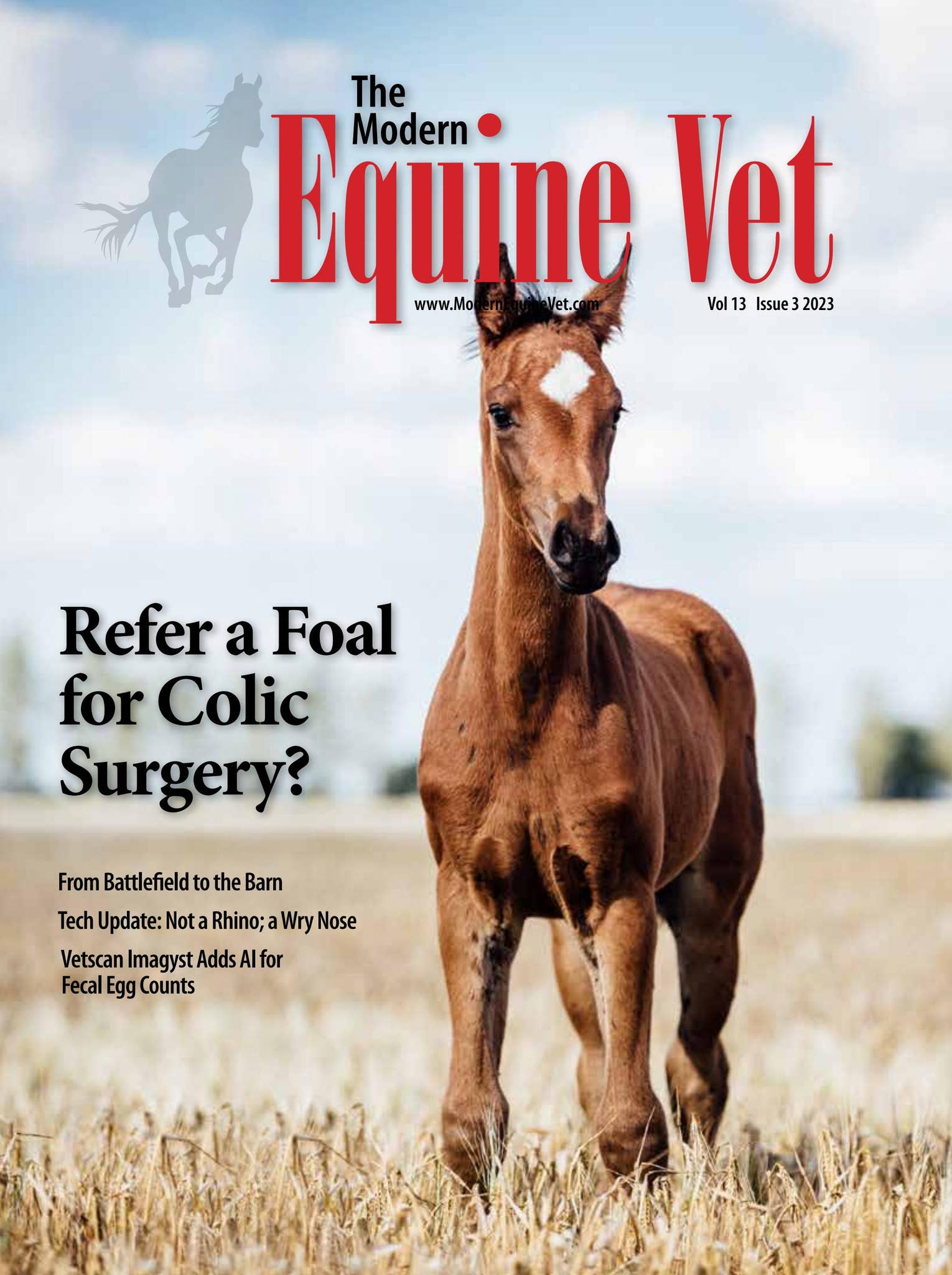 The Modern Equine Vet - March 2023 by The Modern Equine Vet - Issuu