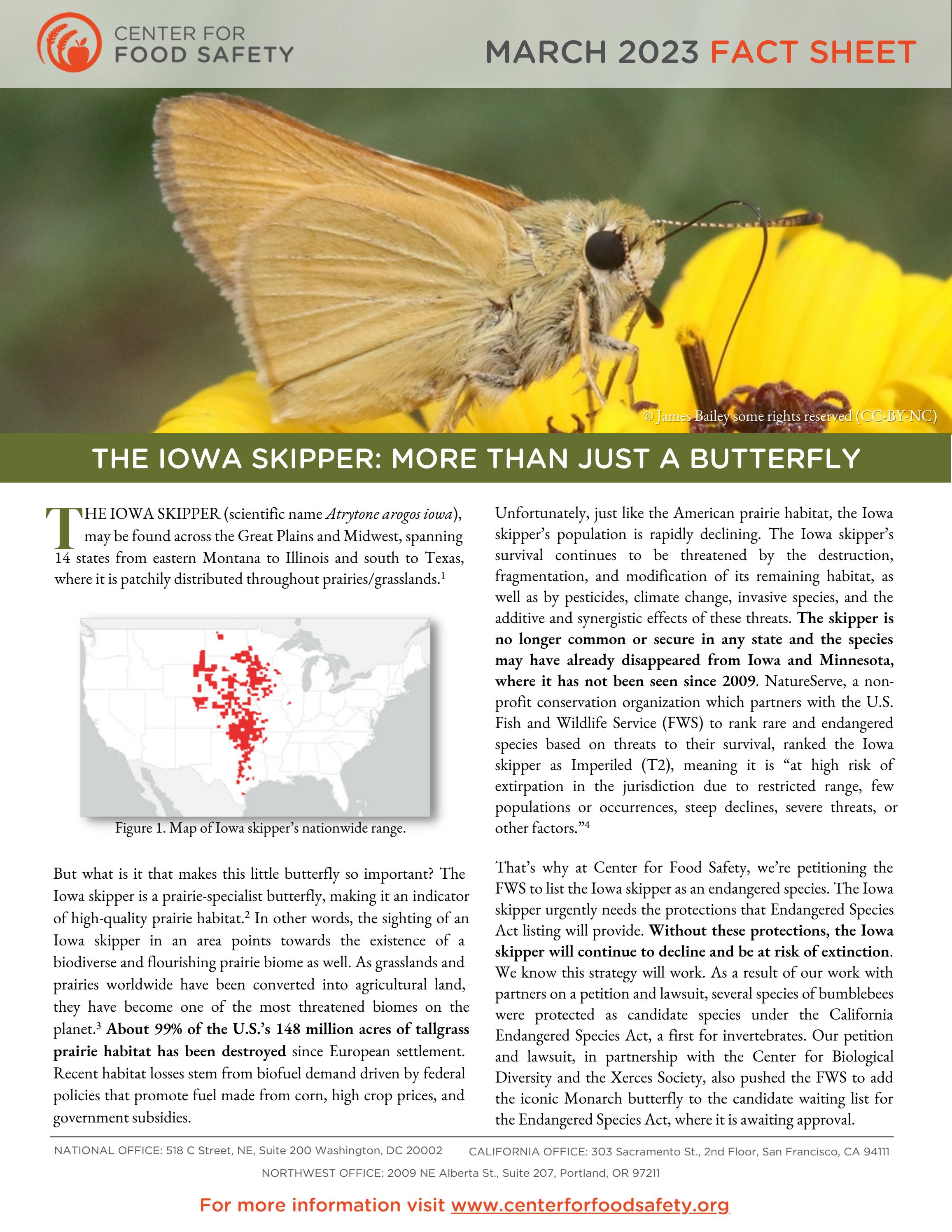 The Iowa Skipper: More Than Just a Butterfly by Center for Food Safety ...