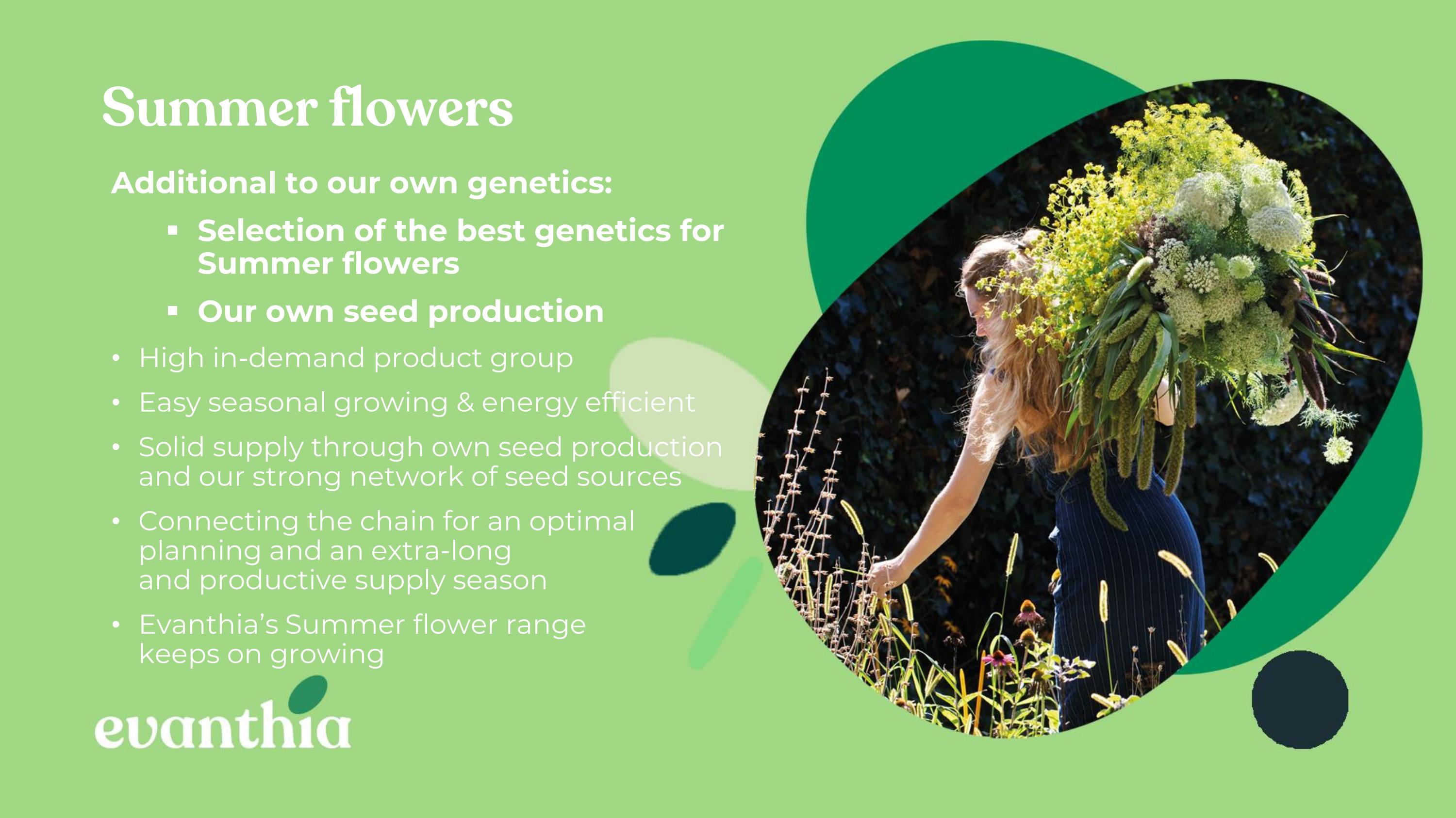 Summer flowers at Evanthia 2024 by Evanthia Seeds & Plants - Issuu