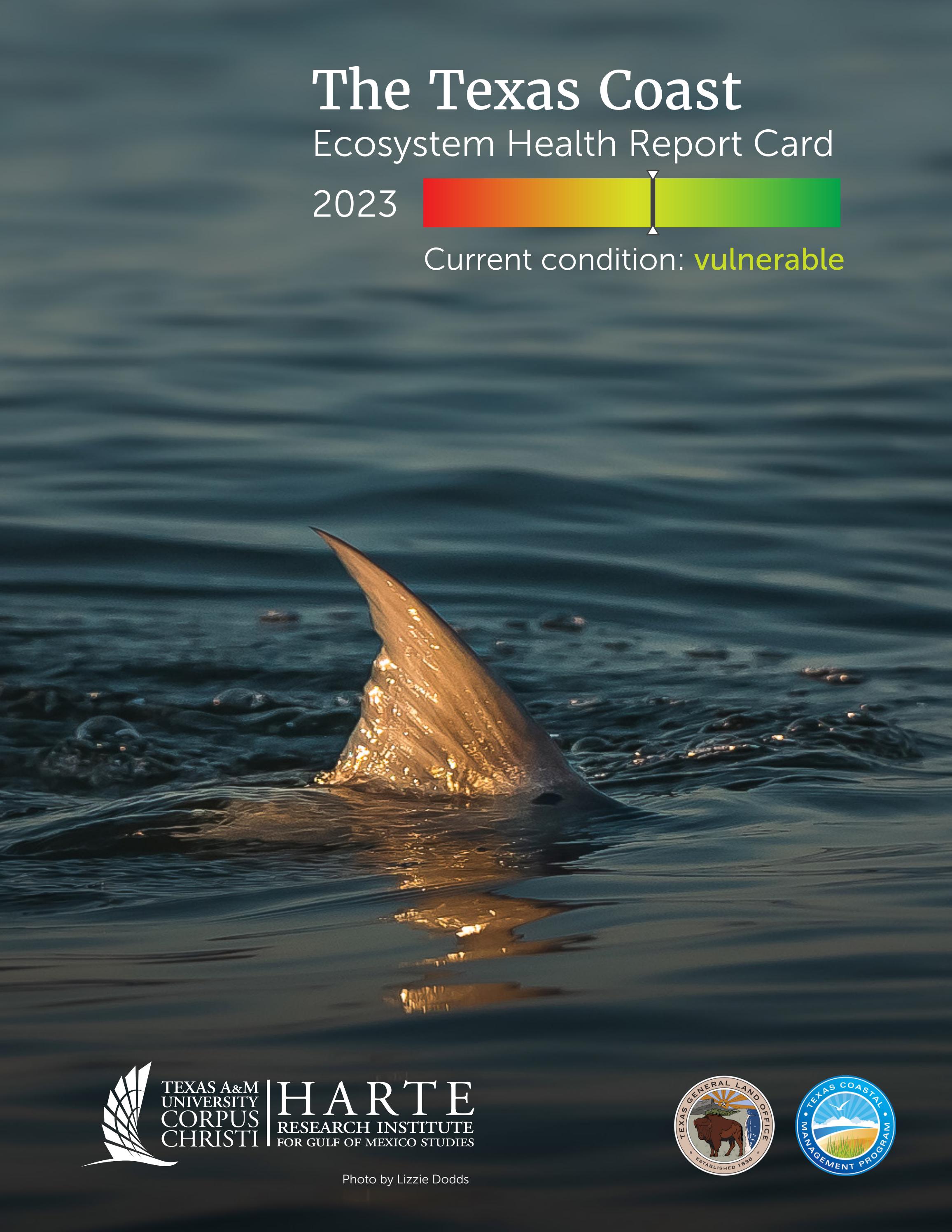The Texas Coast Ecosystem Health Report Card 2023 by Harte Research ...