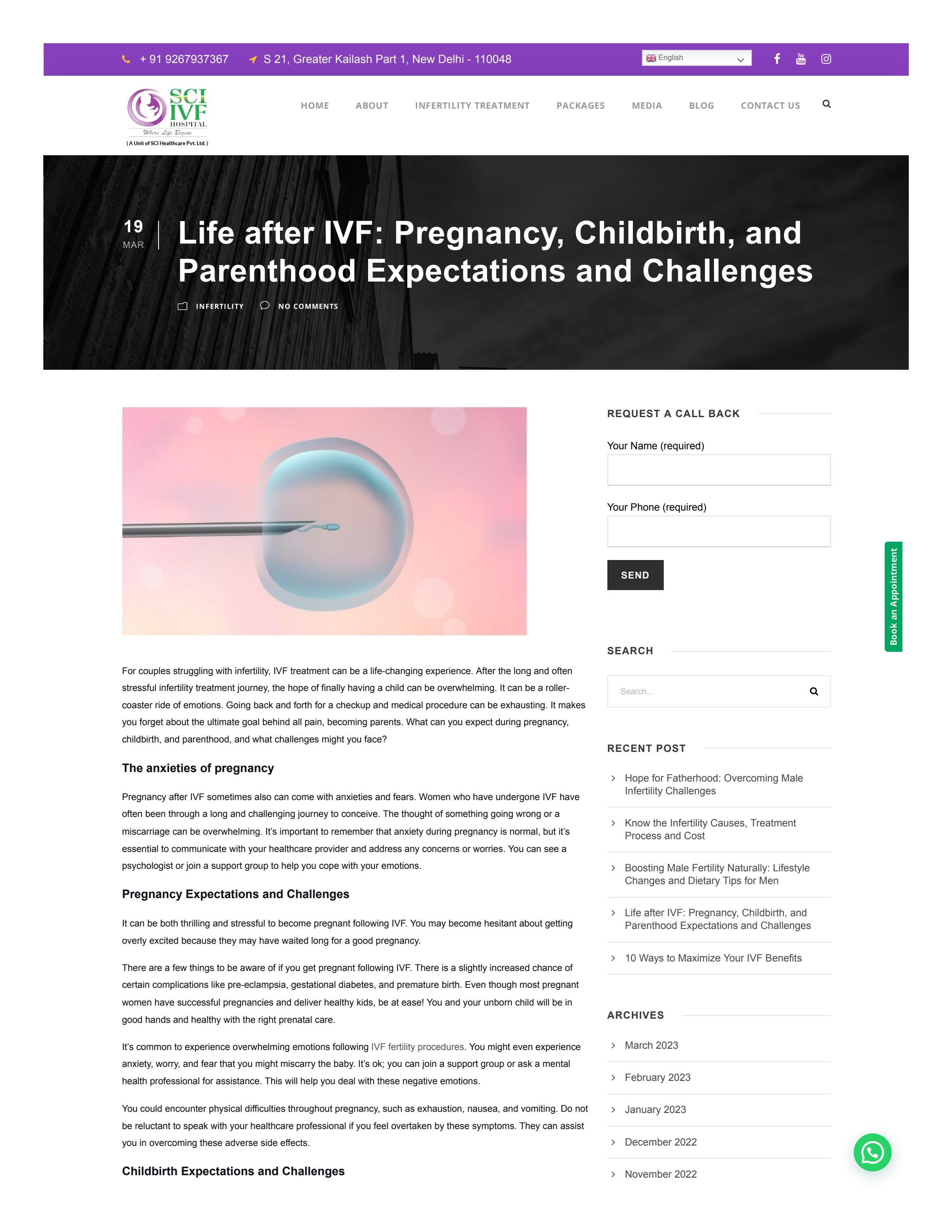 Life after IVF: Pregnancy, Childbirth, and Parenthood Expectations and ...