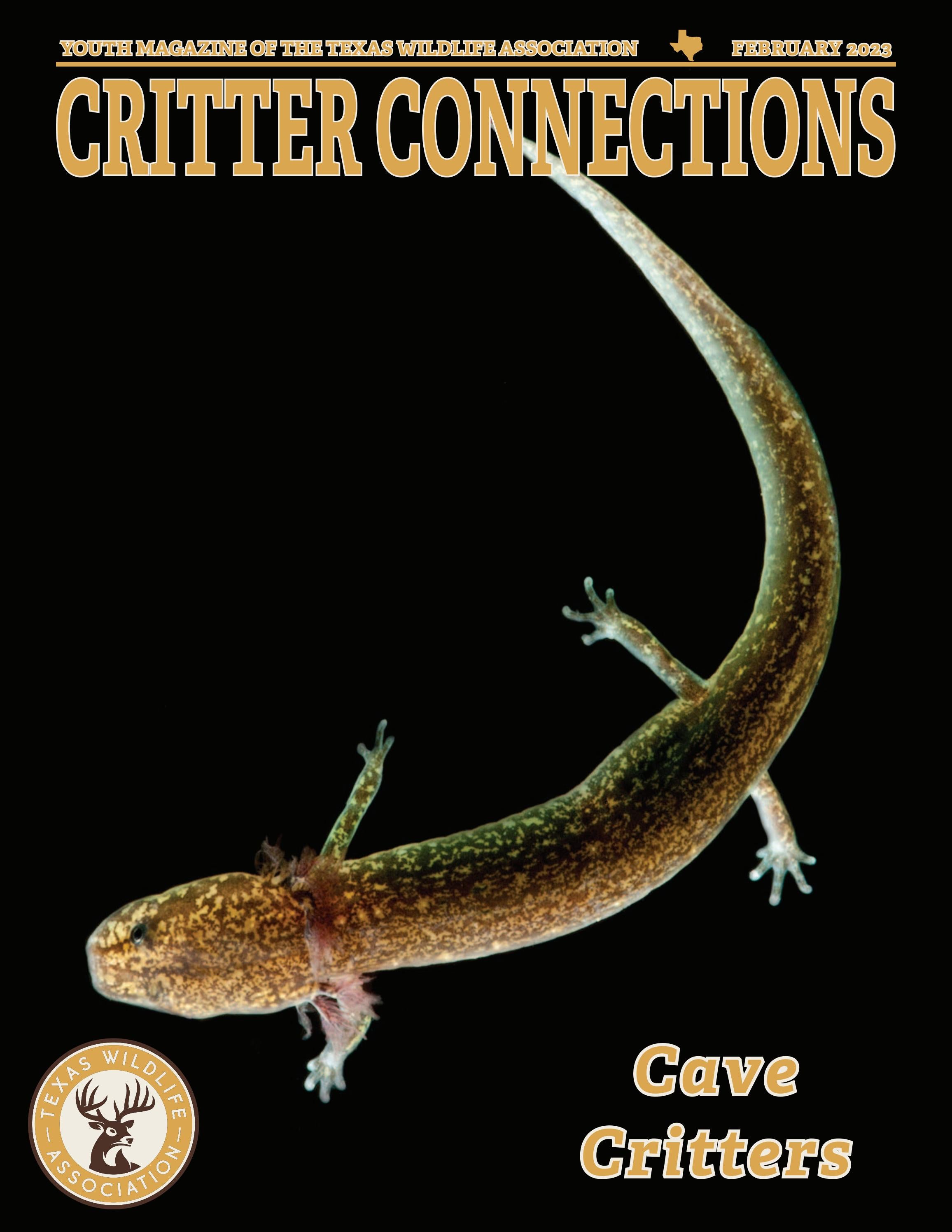Critter Connections - Cave Critters - February 2023 by Texas Wildlife ...