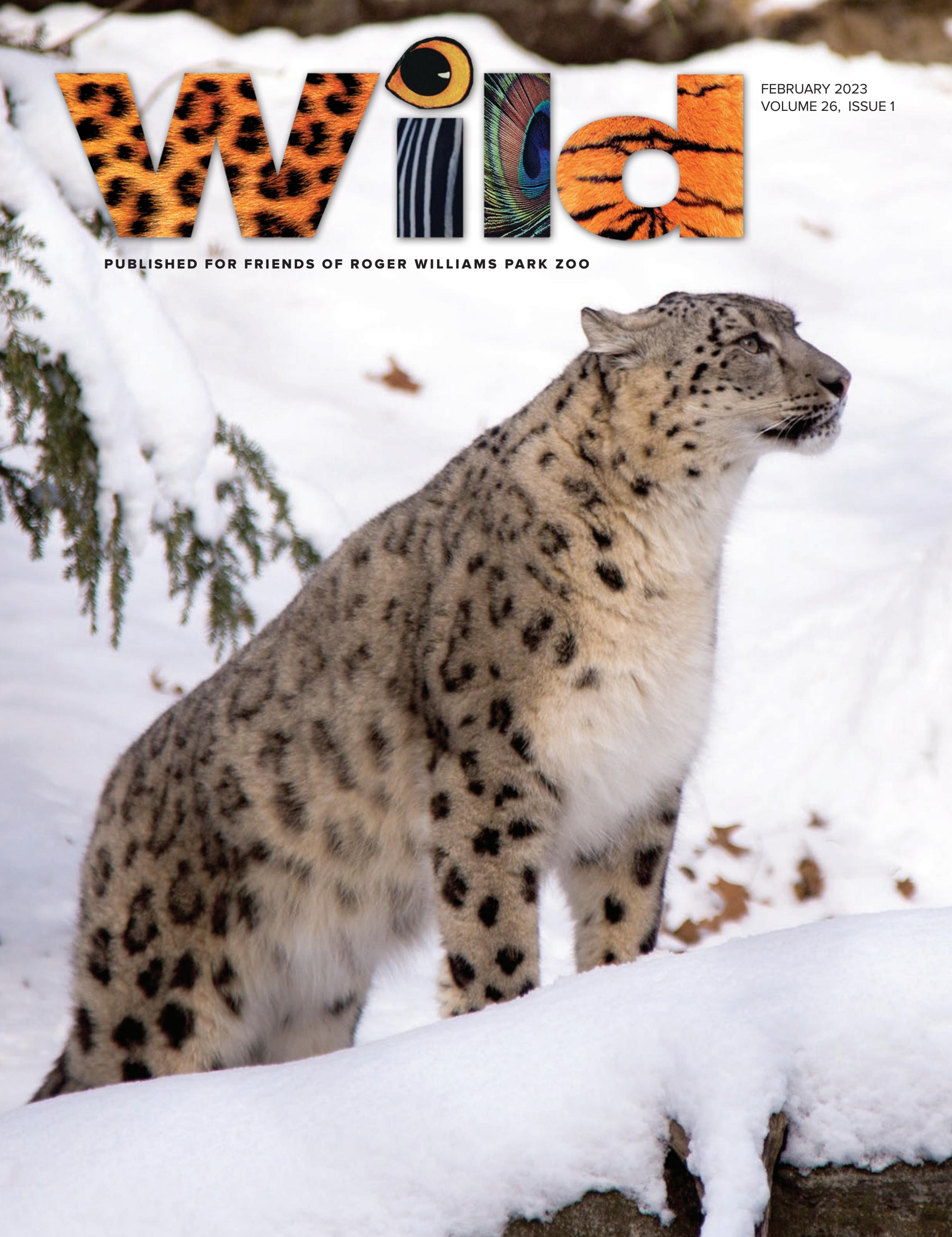 2023 Winter Wild Magazine by Roger Williams Park Zoo - Issuu