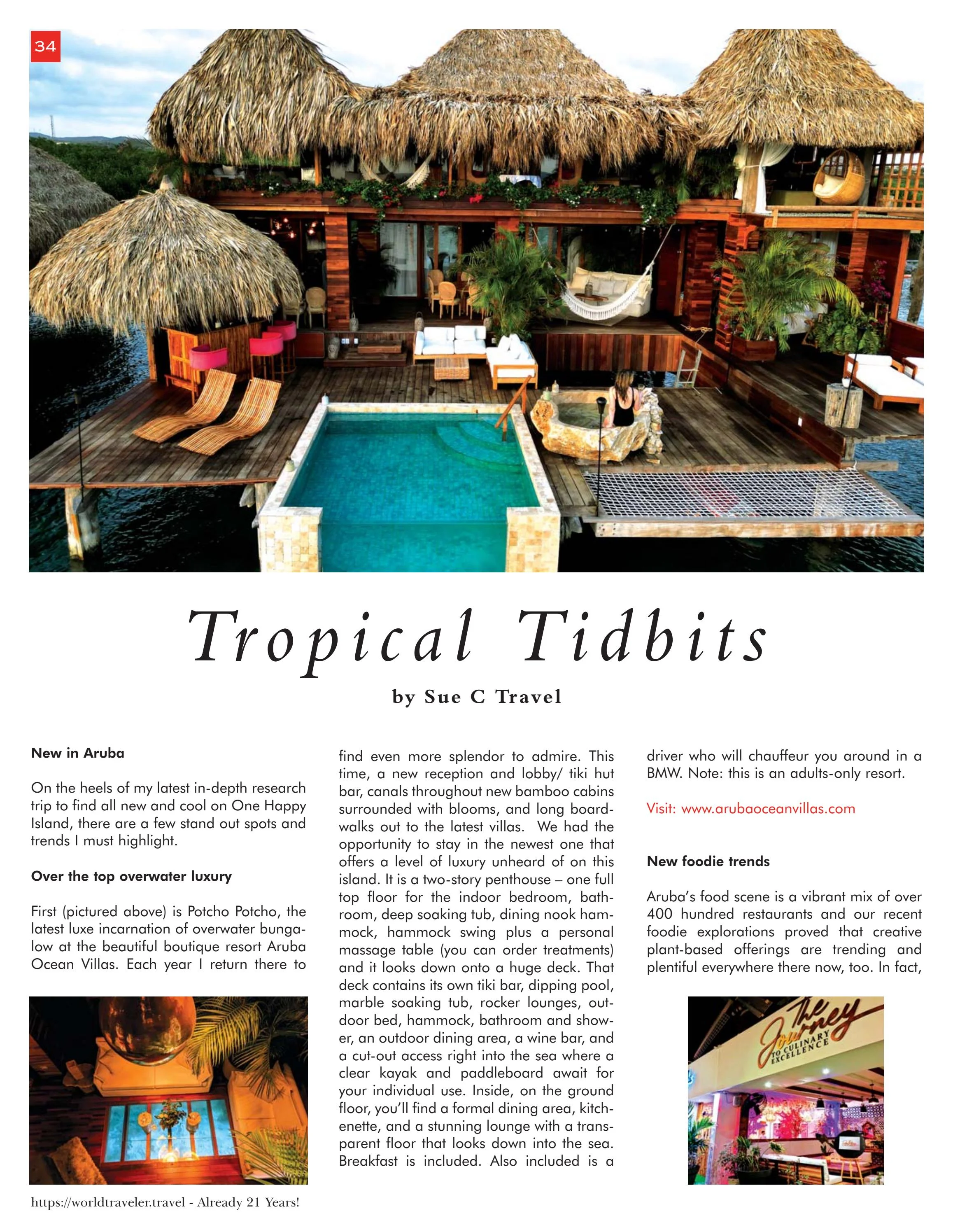 Tropical Tidbits World Traveler Magazine-Spring 2023 by Sue Campbell ...
