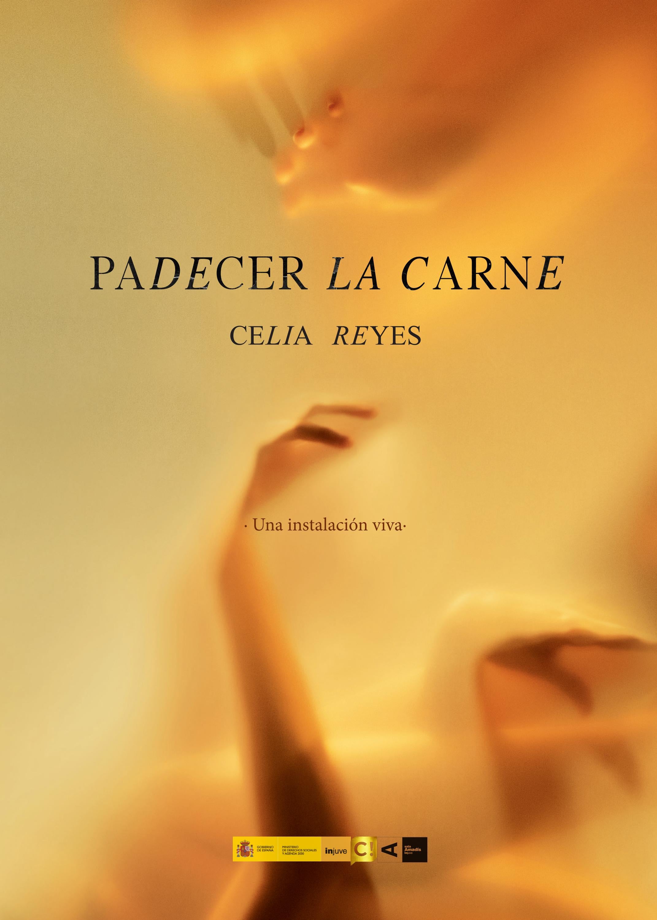 Padecer la Carne by Instituto de la Juventud de España - Issuu