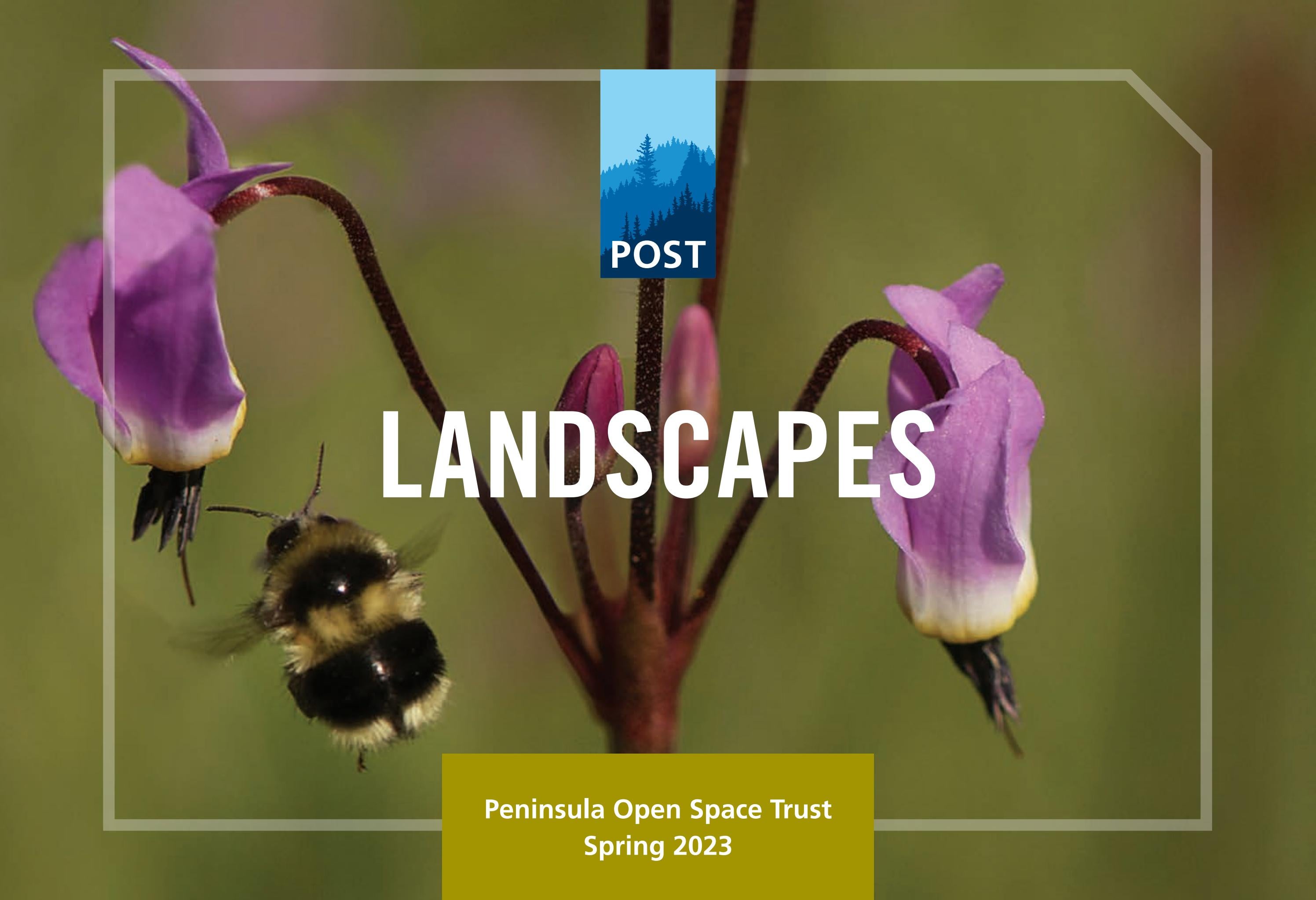 Spring Landscapes - 2023 by Peninsula Open Space Trust - Issuu