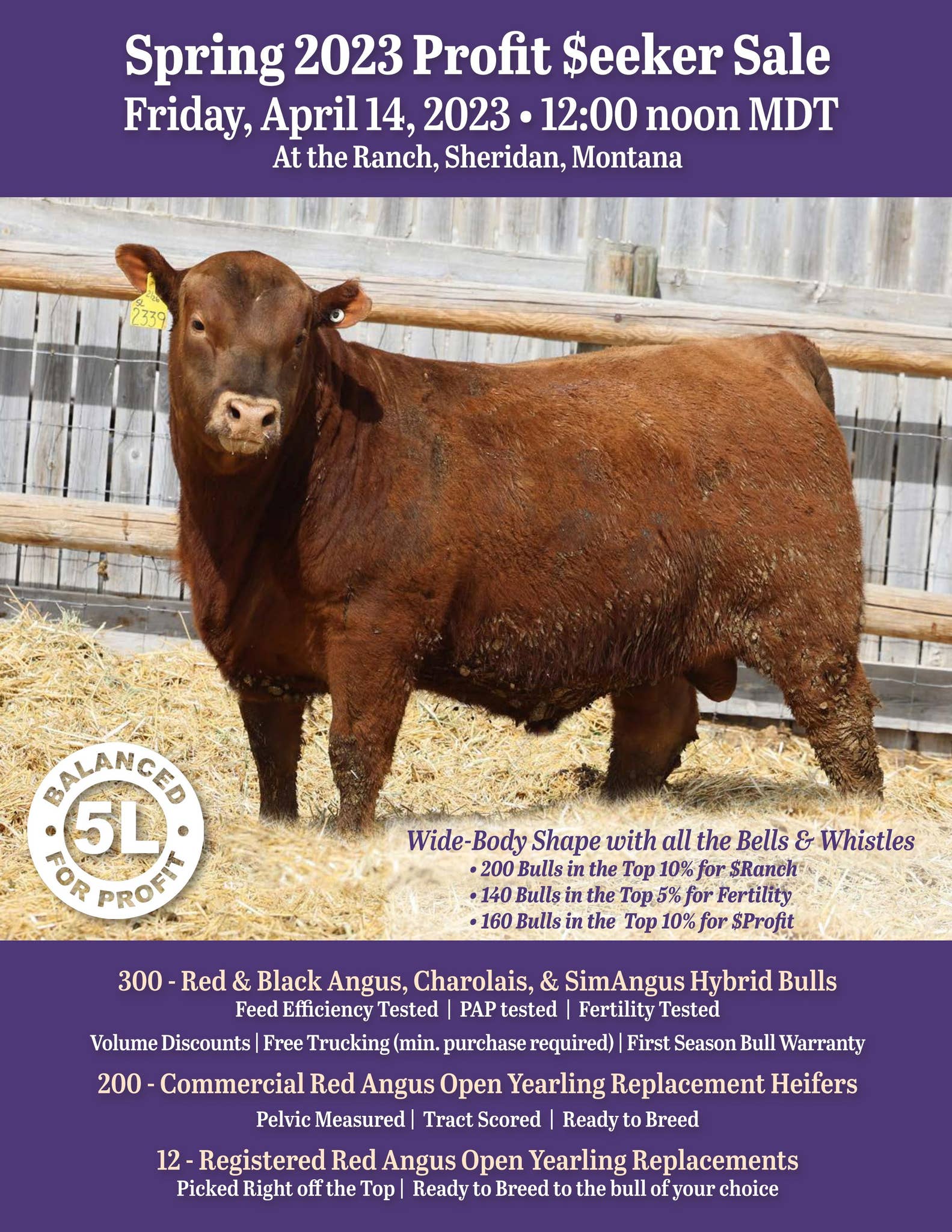 5L Red Angus - 2023 Profit Seeker Sale Catalog by LivestockDirect - Issuu