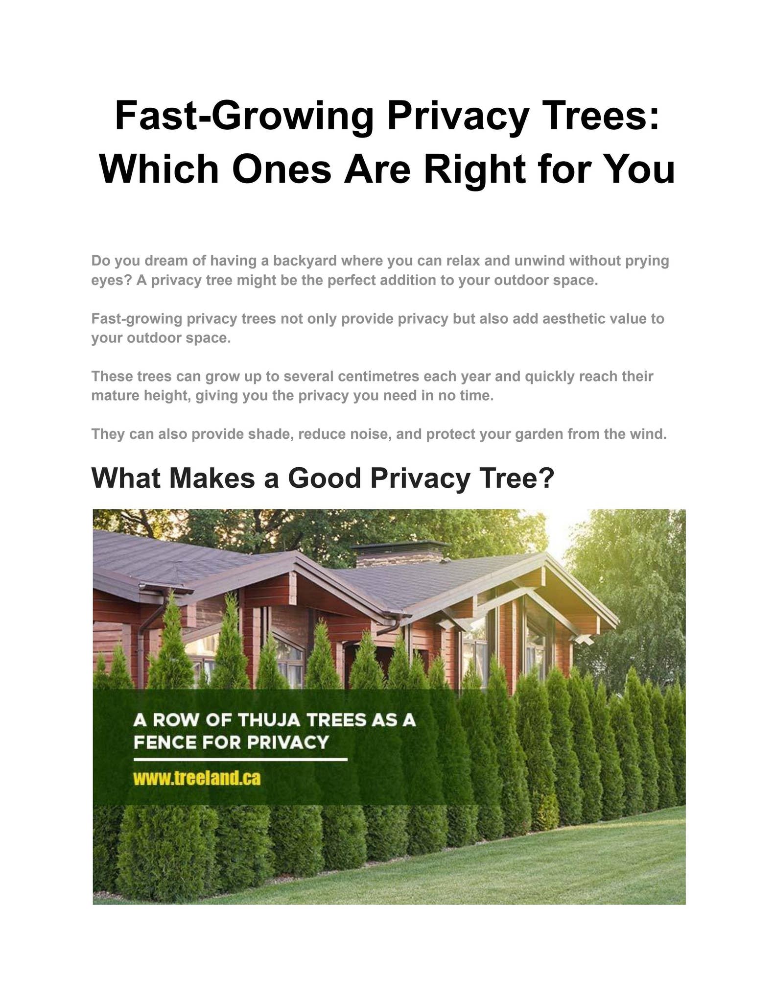 Fast-Growing Privacy Trees: Which Ones Are Right for You by Caledon ...
