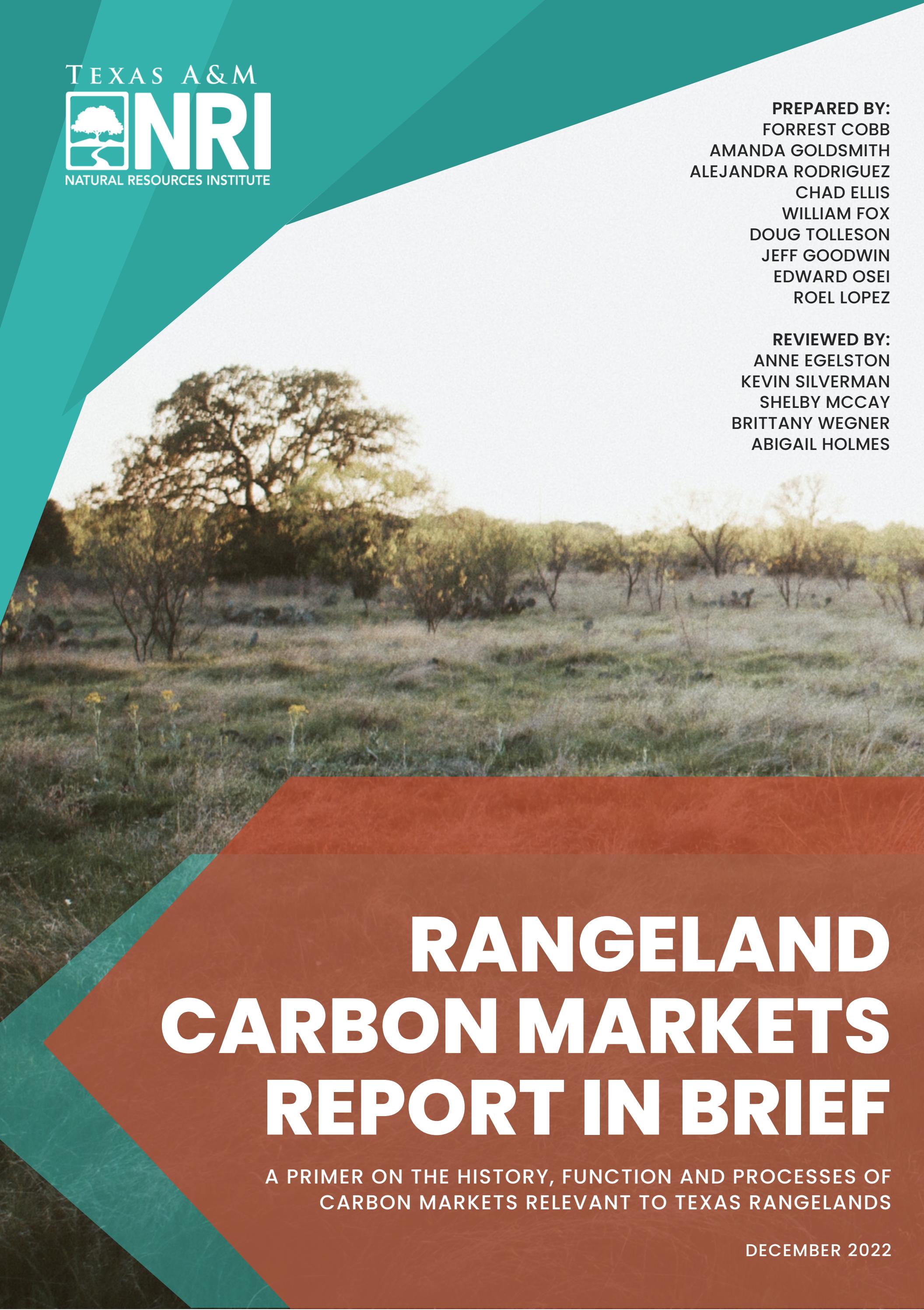 Rangeland Carbon Markets in Brief by Texas A&M Natural Resources ...