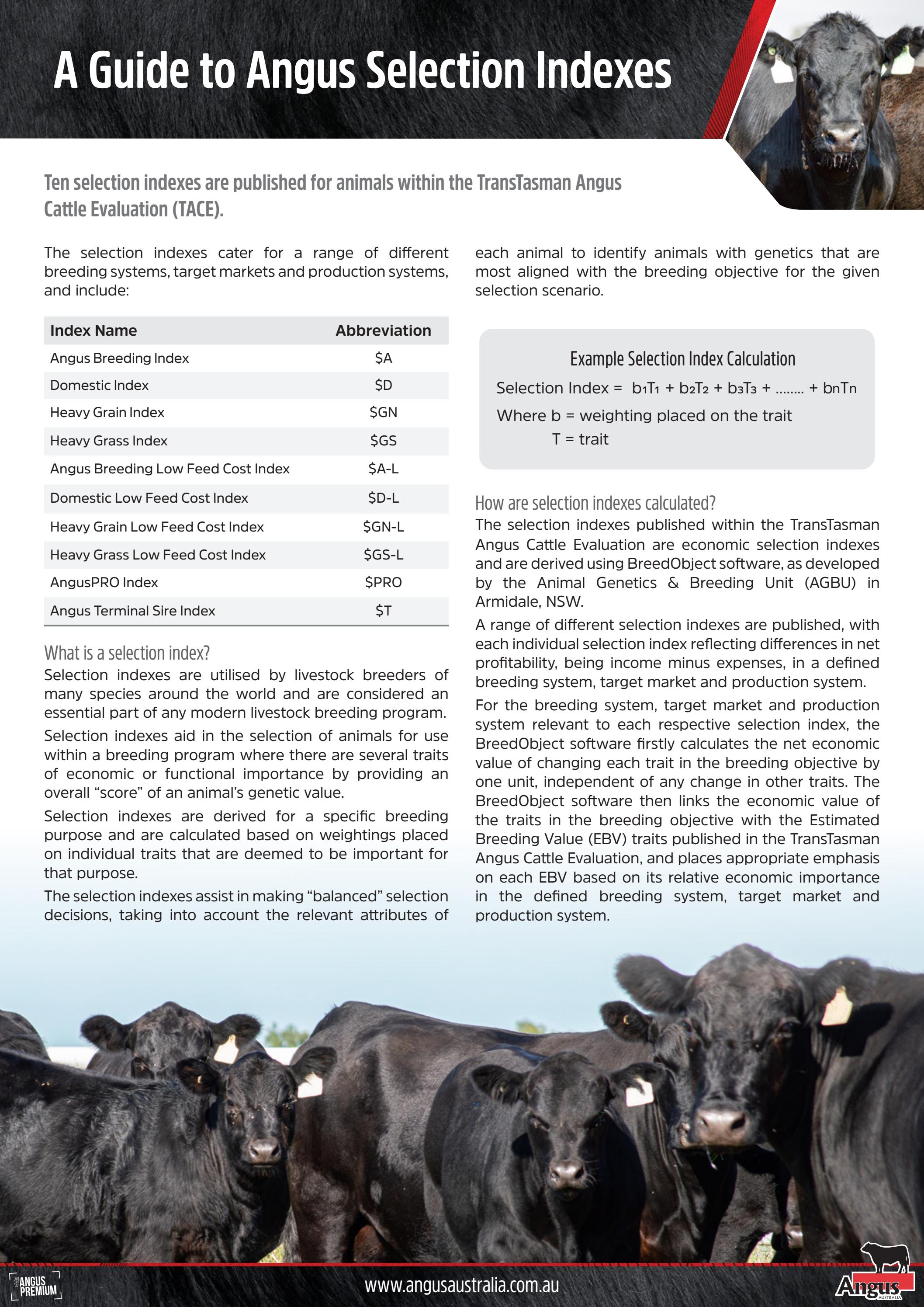 A Guide to Angus Selection Indexes by Angus Australia - Issuu
