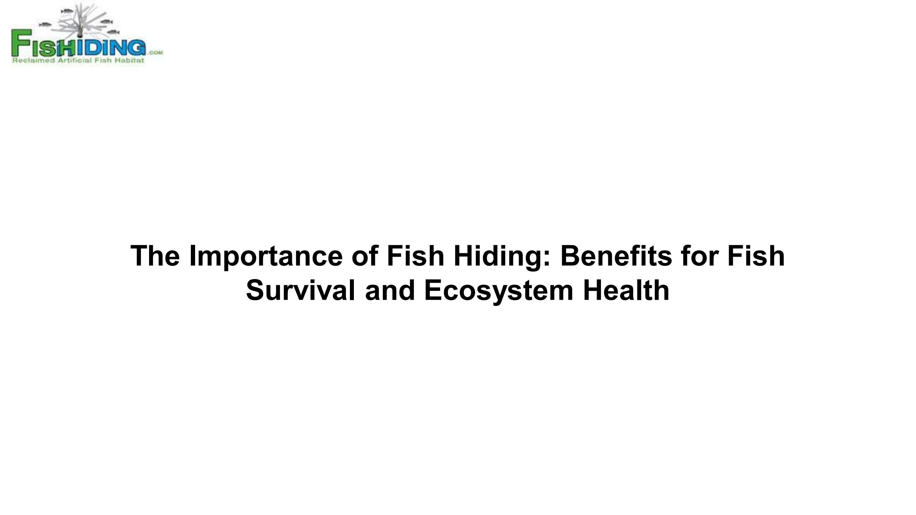 The Importance of Fish Hiding: Benefits for Fish Survival and Ecosystem ...