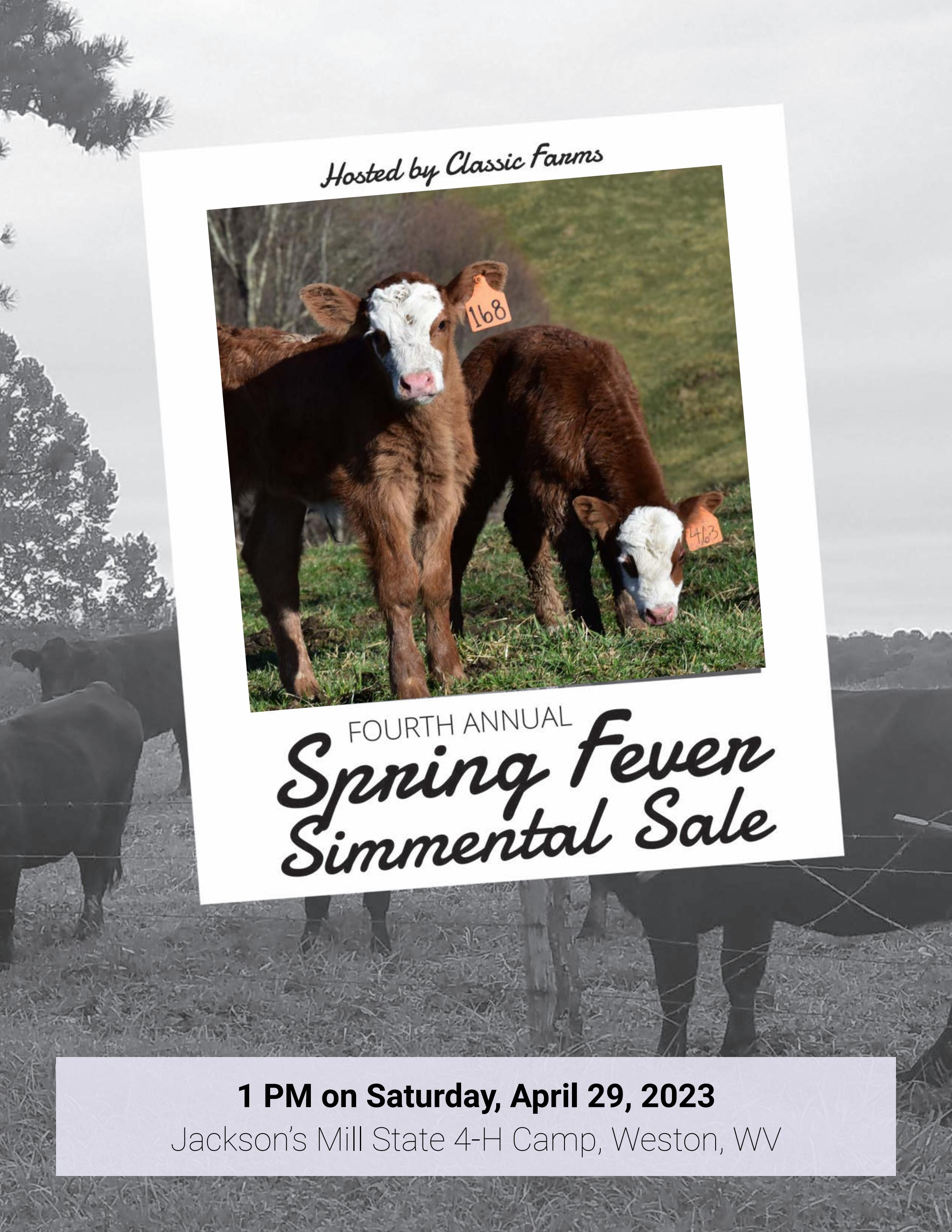Classic Sales - 2023 Spring Fever Sale Catalog by LivestockDirect - Issuu