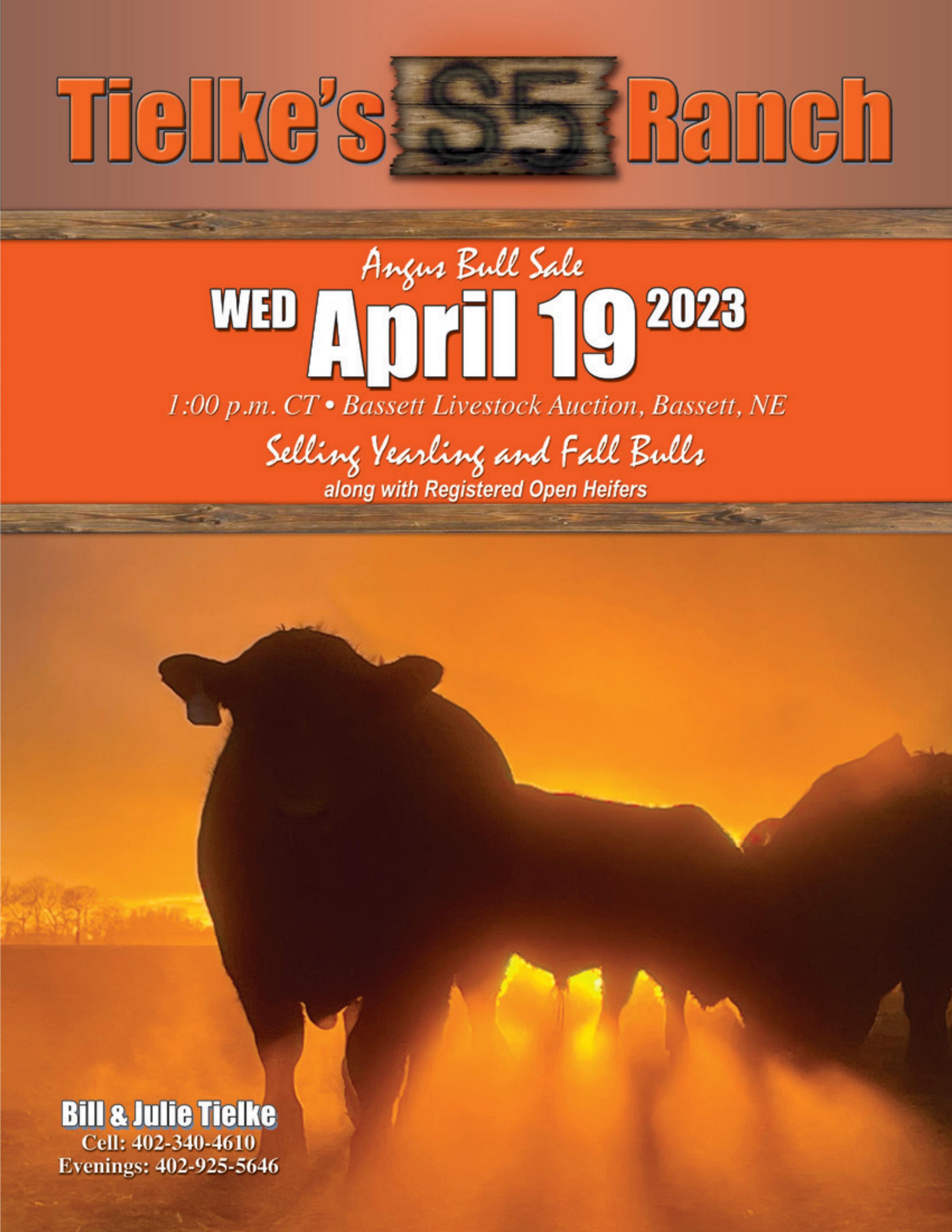 Tielke S5 Ranch 2023 Bull Sale by RPI Promotions - Issuu