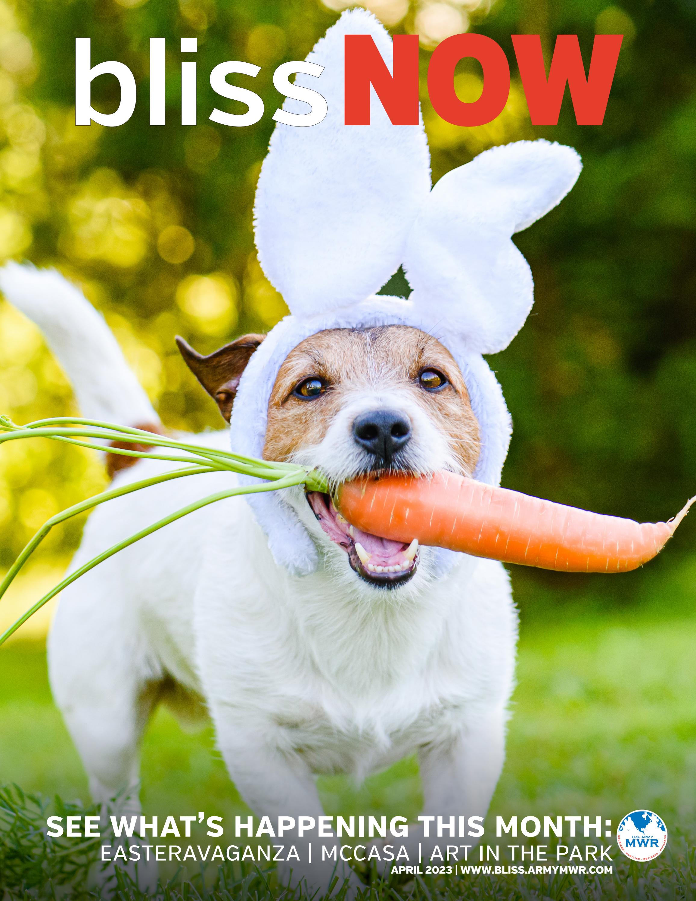 Bliss NOW Magazine April Issue by Fort Bliss Family and MWR - Issuu