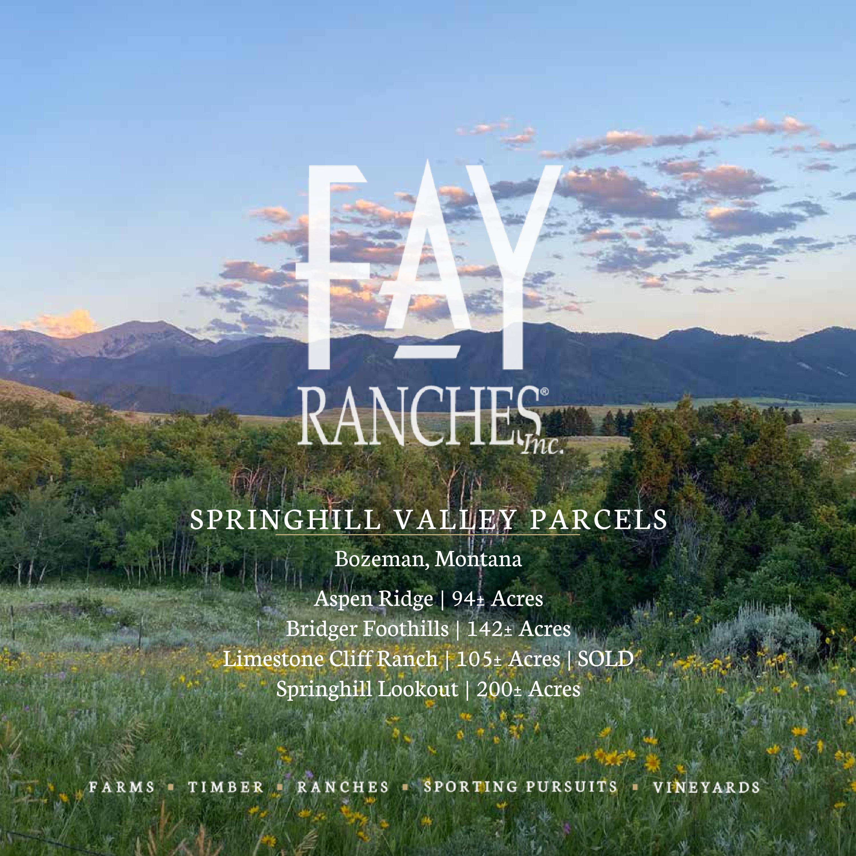 Springhill Valley Parcels | Fay Ranches by Fay Ranches - Issuu