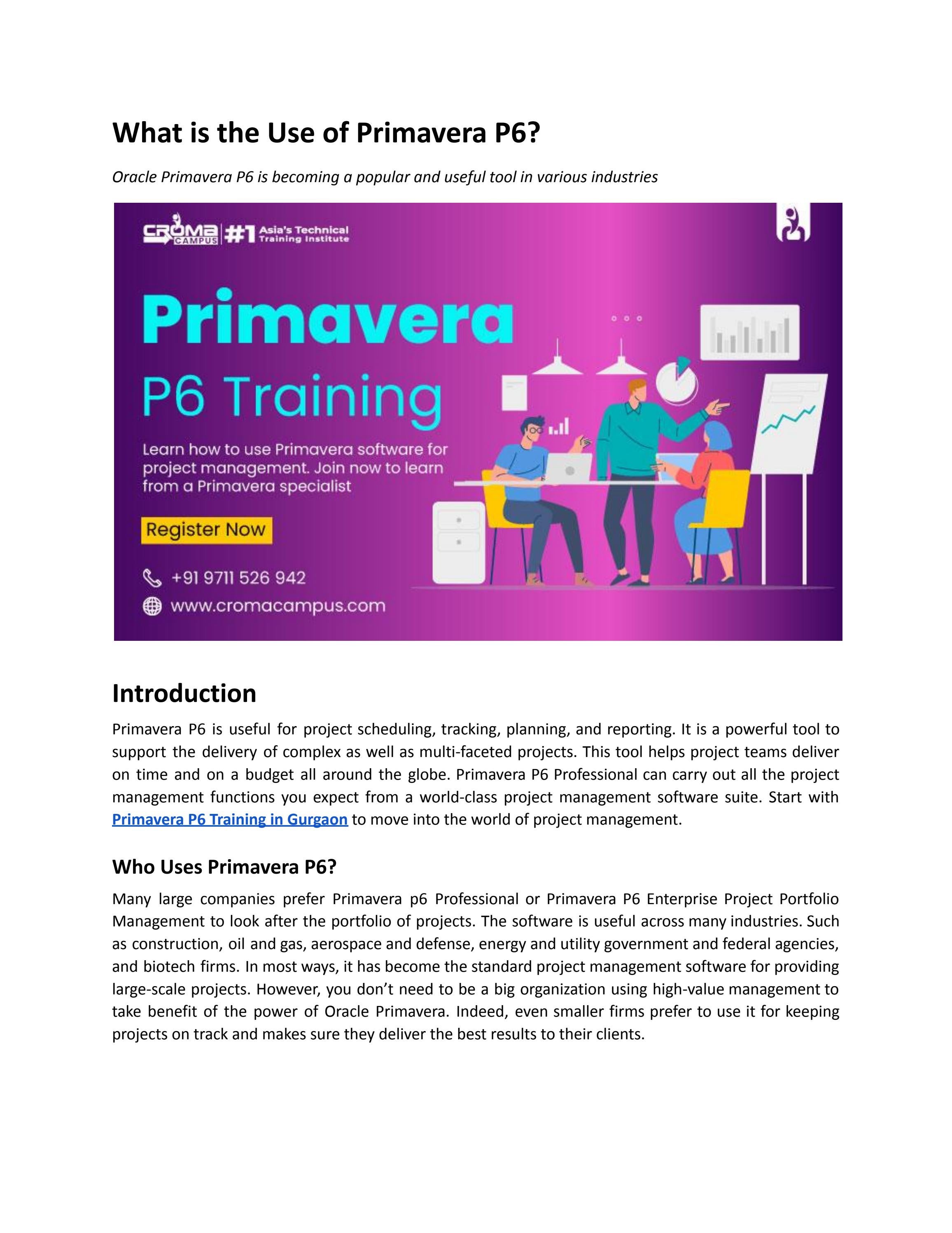 What is the Use of Primavera P6? by Aayu Pandit - Issuu