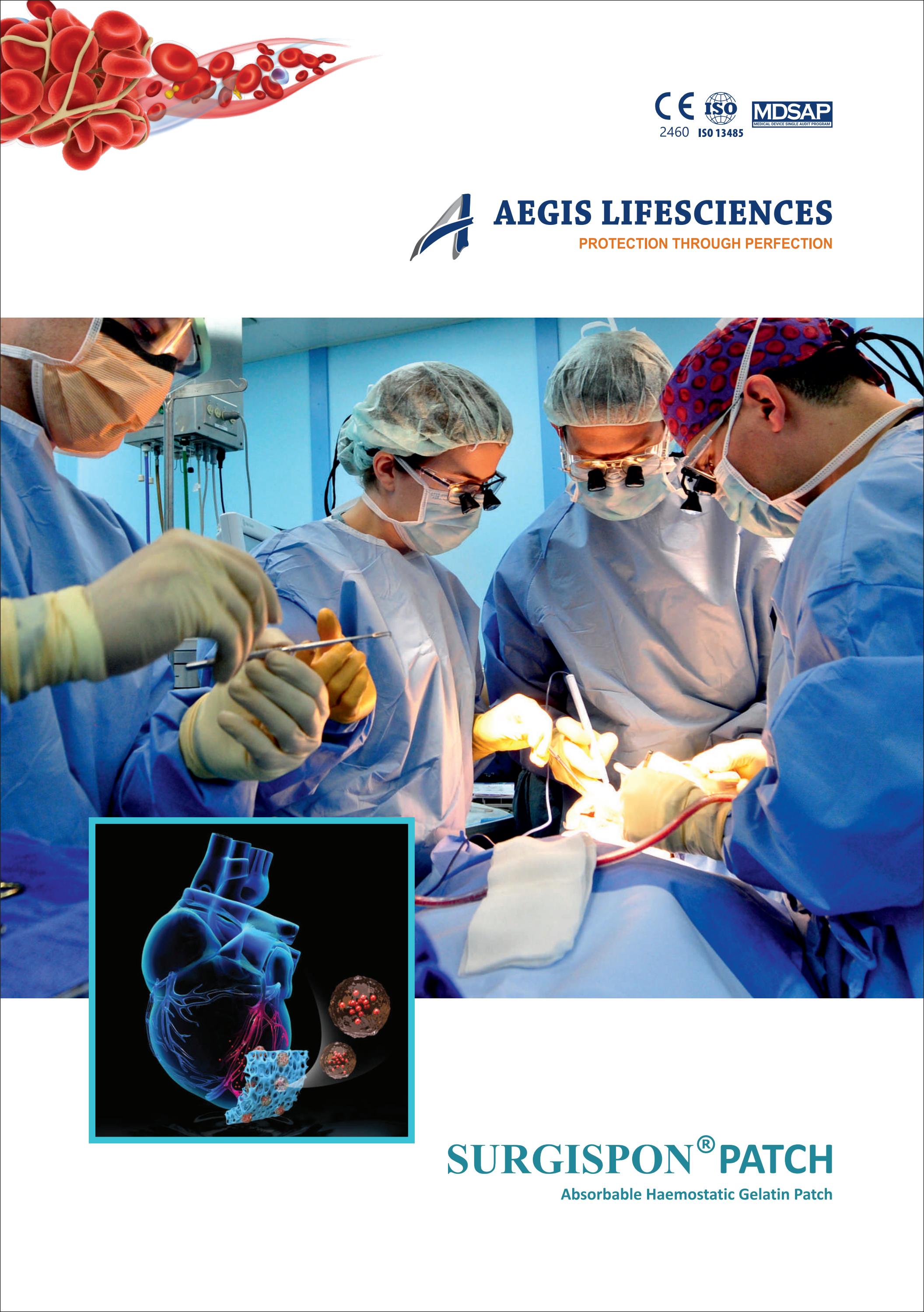 SURGISPON PATCH Absorbable Haemostatic Gelatin Patch by ...