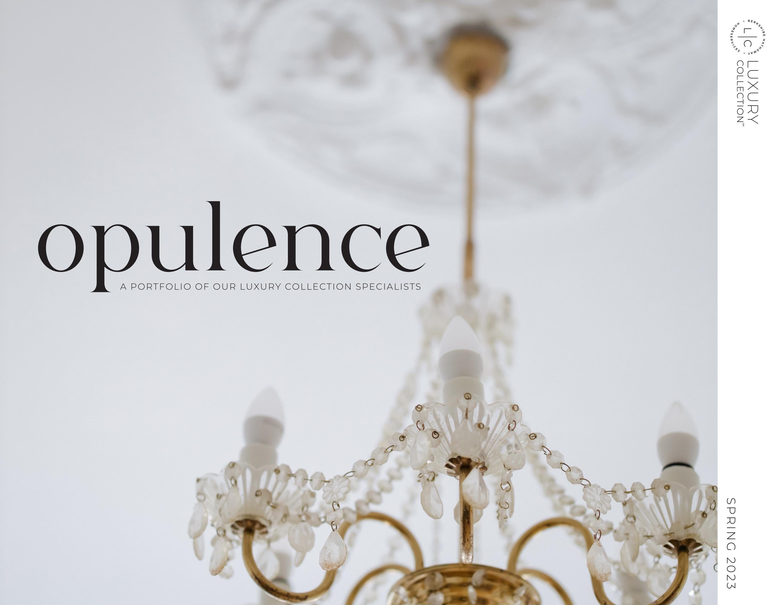Opulence: A Portfolio of our Luxury Collection Specialists by Berkshire ...