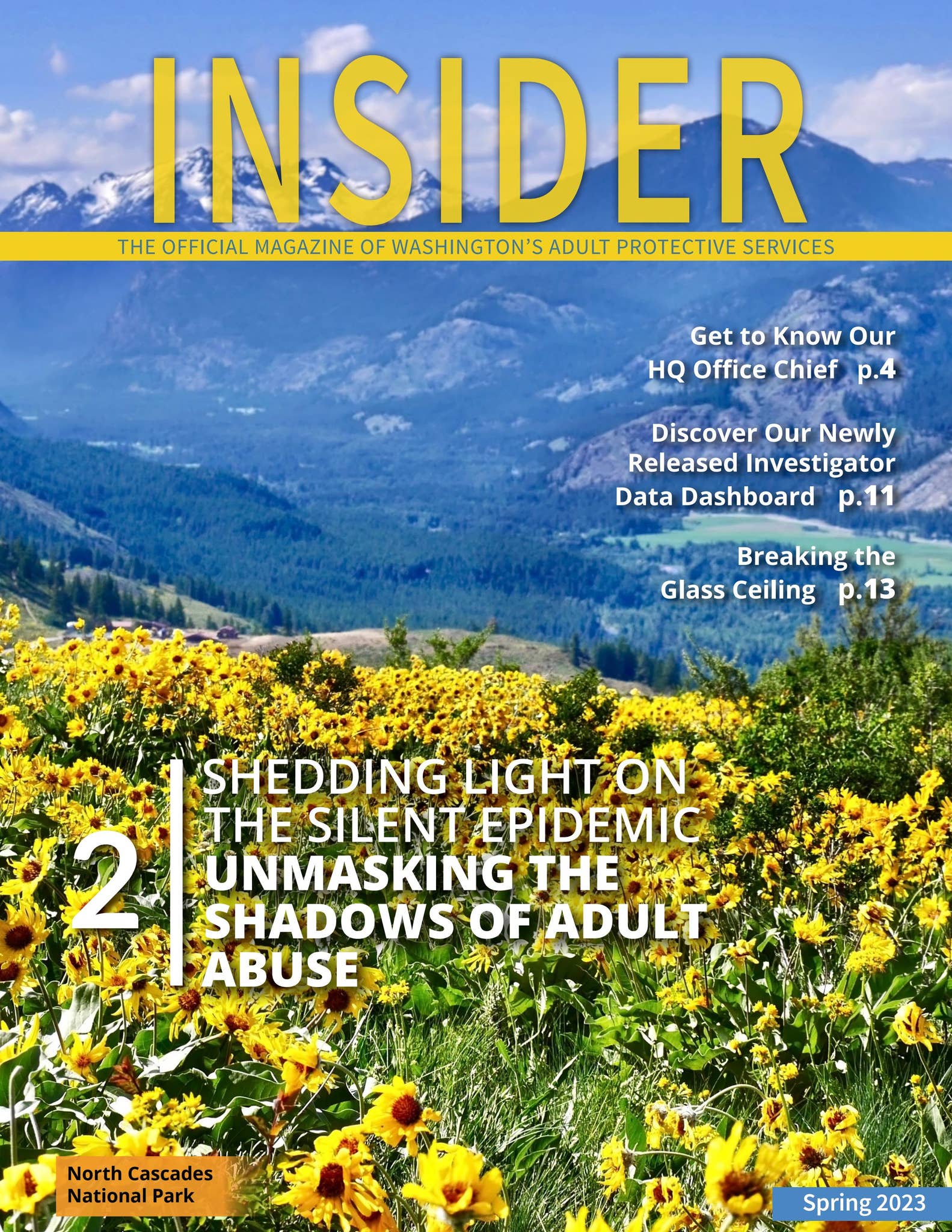 APS Magazine - Spring 2023 by dshs_altsa - Issuu
