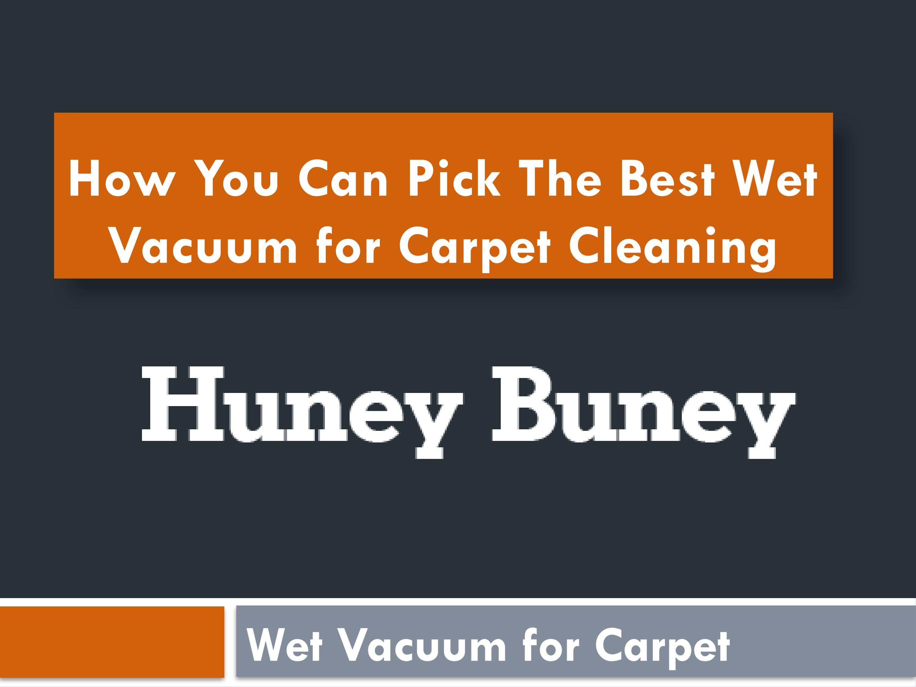 How You Can Pick The Best Wet Vacuum For Carpet Cleaning By Huney Buney How You Can Pick The Best Wet Vacuum For Carpet Cleaning By Huney Buney