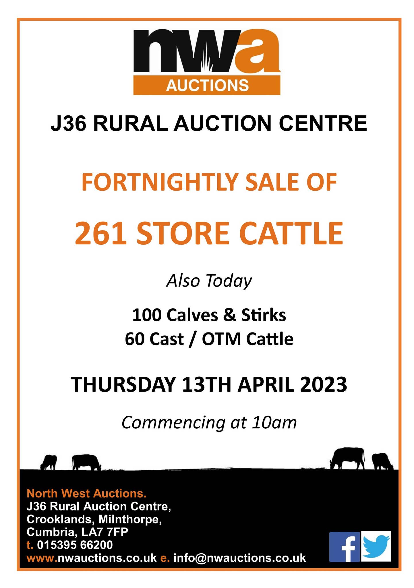 J36 Store Cattle, 13th April 2023 by North West Auctions - Issuu