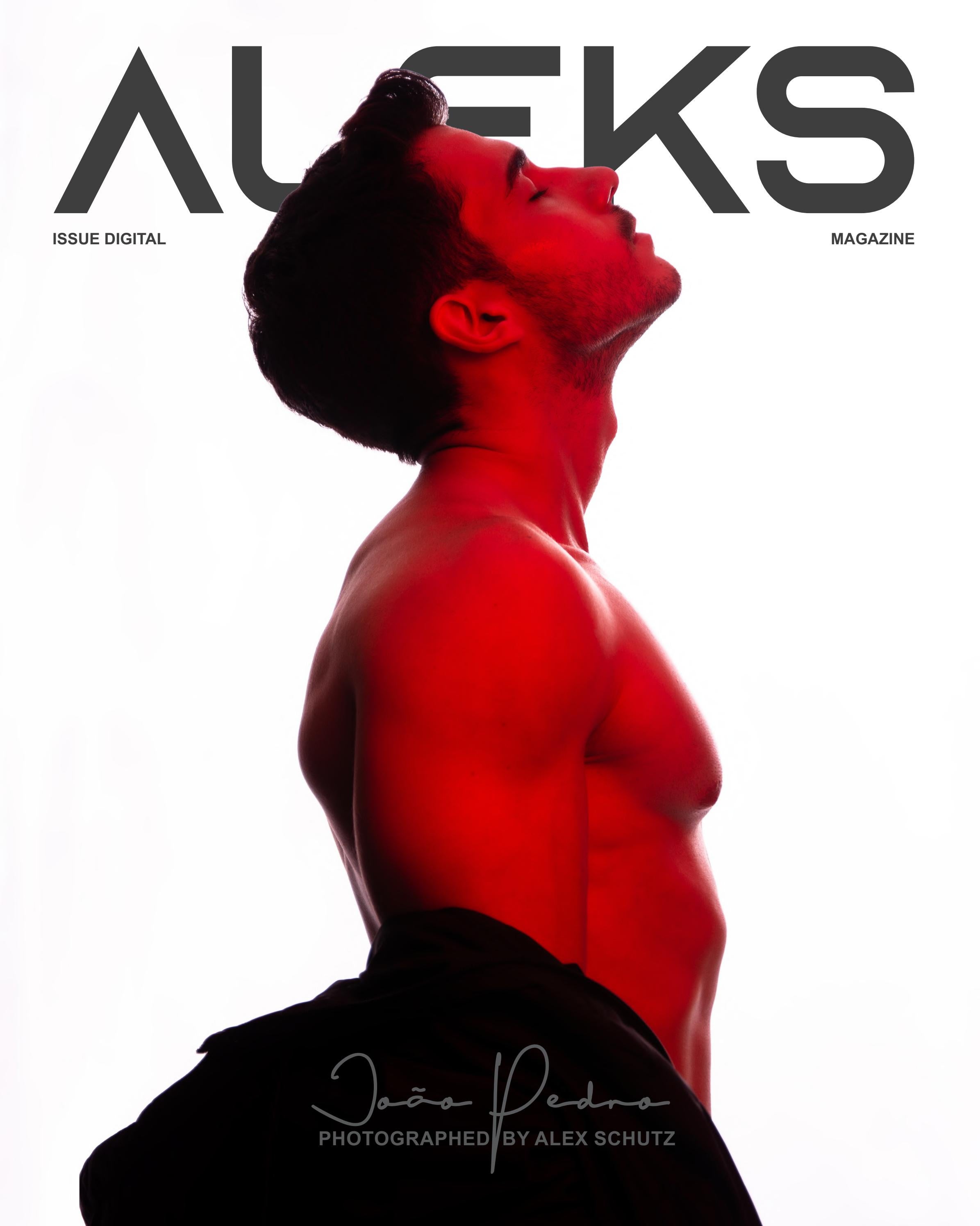 ALEKS MAGAZINE - RED ALERT by ALEKS MAGAZINE - Issuu