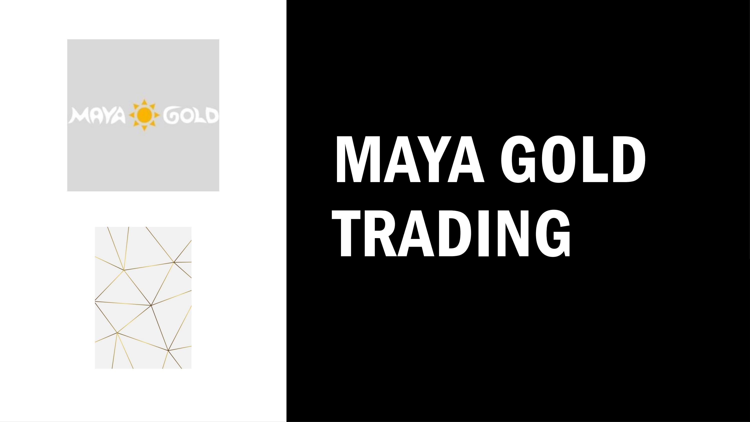 Turmeric Powder Bulk Distributor - Buy In Bulk And Save by Maya Gold ...