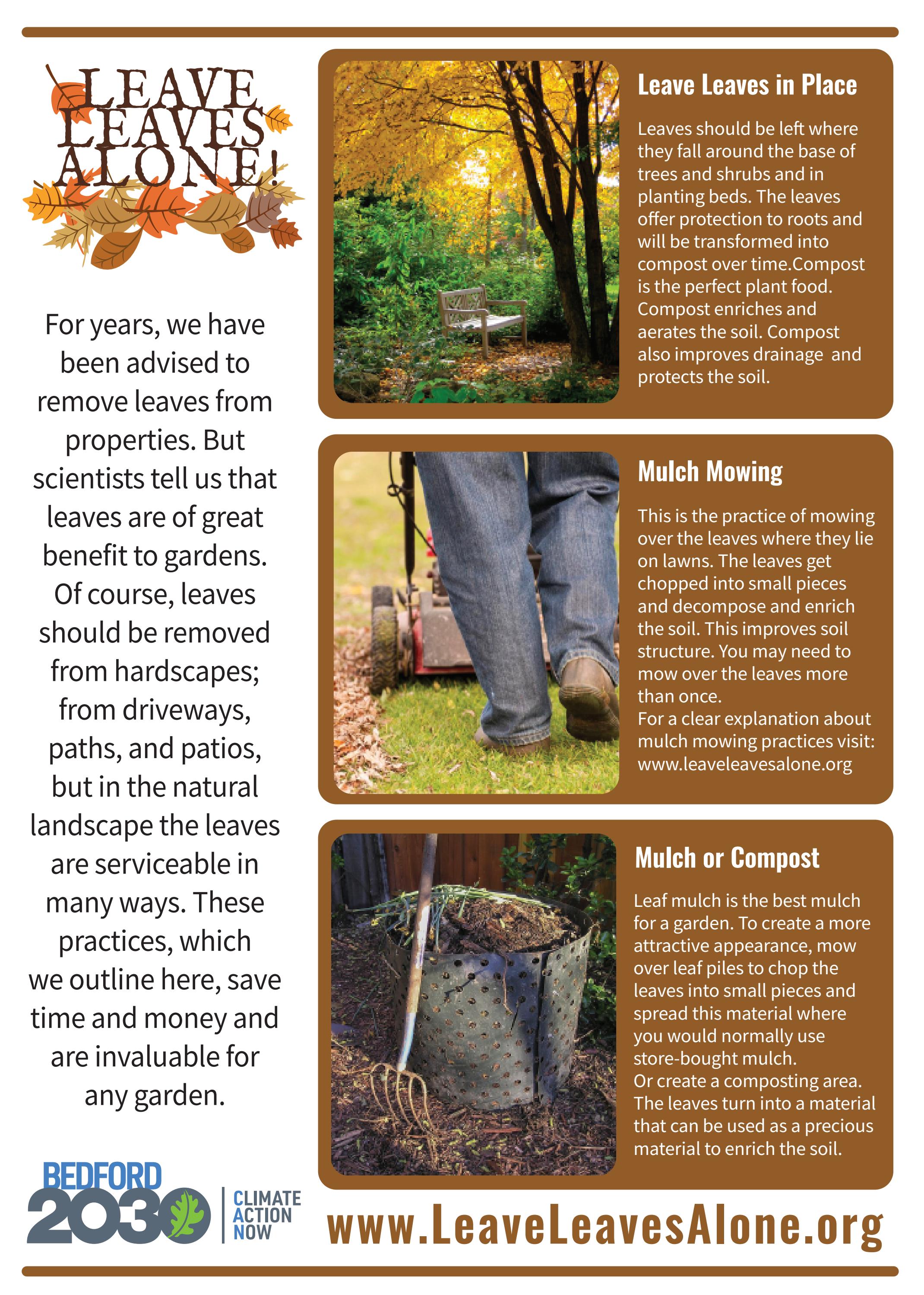 Leave Leaves Alone - English by healthyyards1 - Issuu