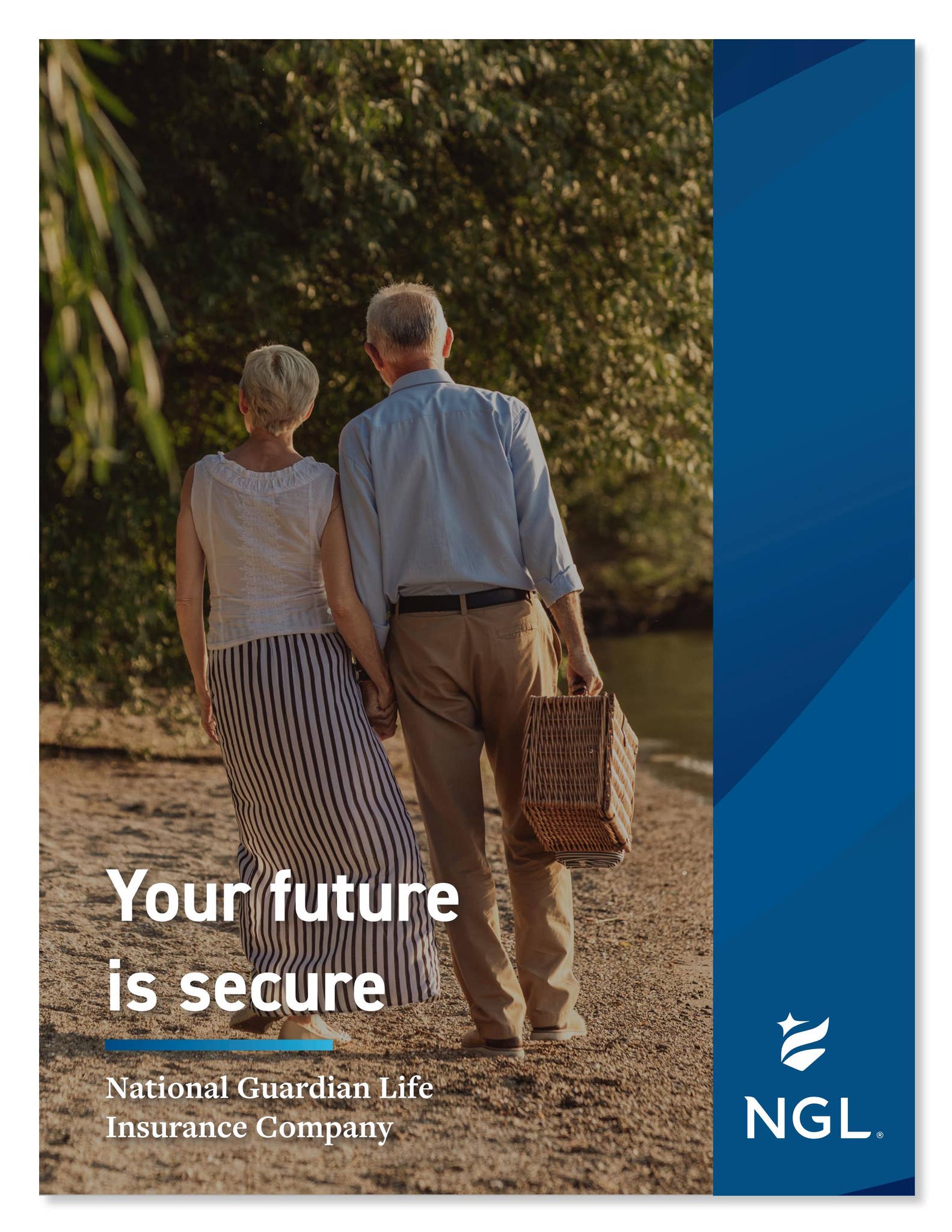 NGL Company Brochure 05.21 by NGLIC - Issuu