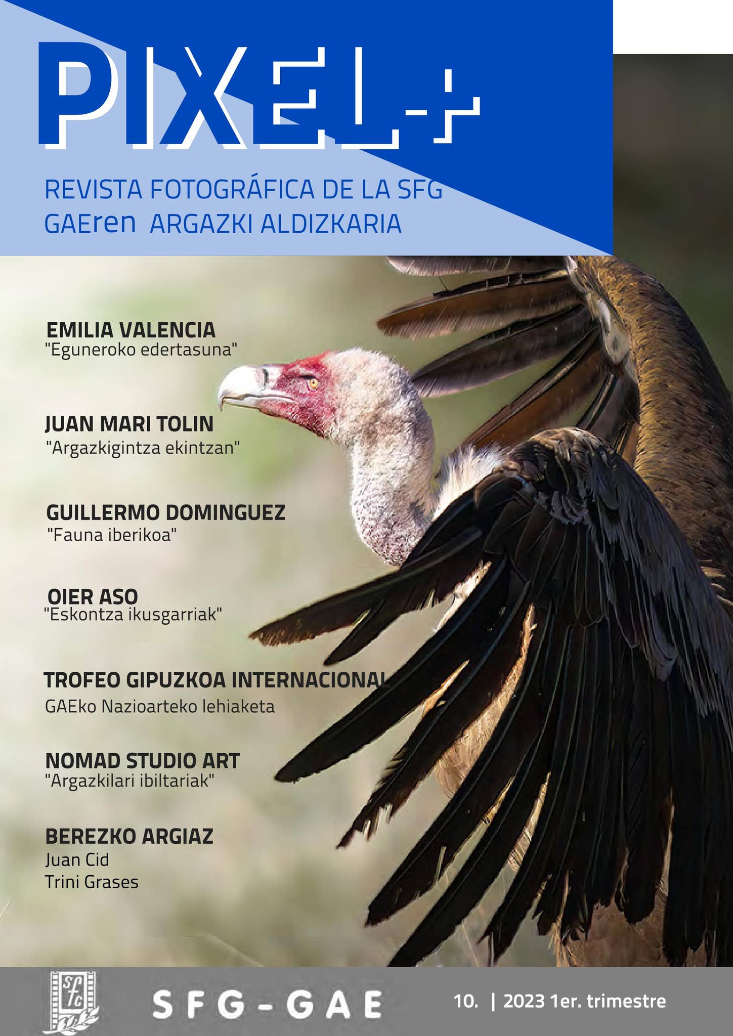 Revista Pixel+, nº10 / Pixel+ aldizkaria, 10. zbk by Pixel+ - Issuu