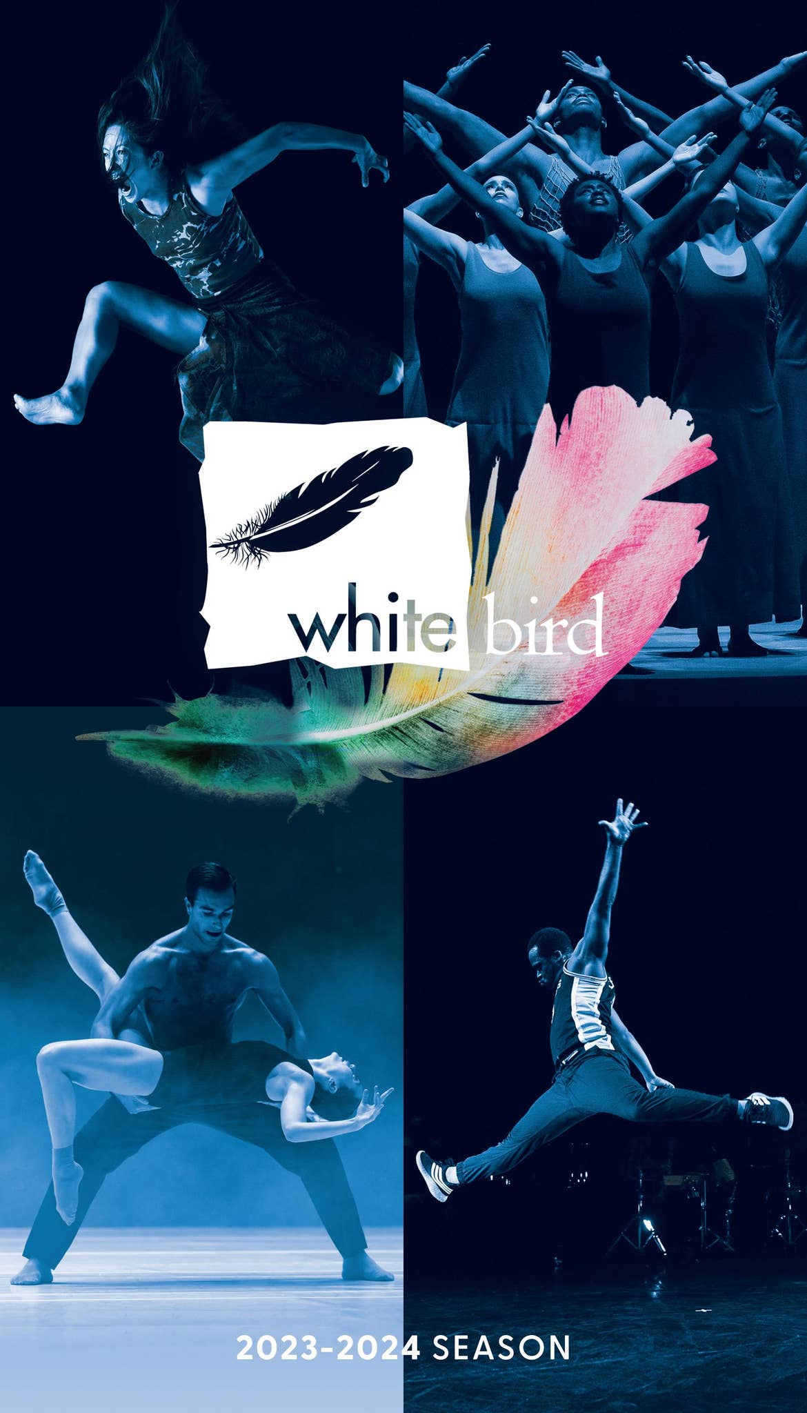 White Bird's 2023/24 Season Brochure by White Bird Dance - Issuu