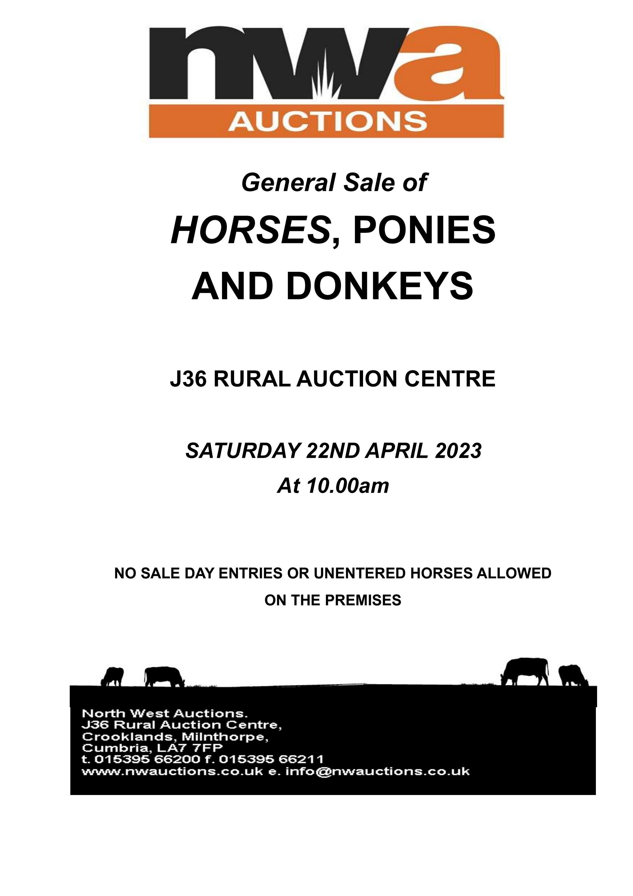 J36 Sale of Horses, Ponies & Donkeys by North West Auctions - Issuu