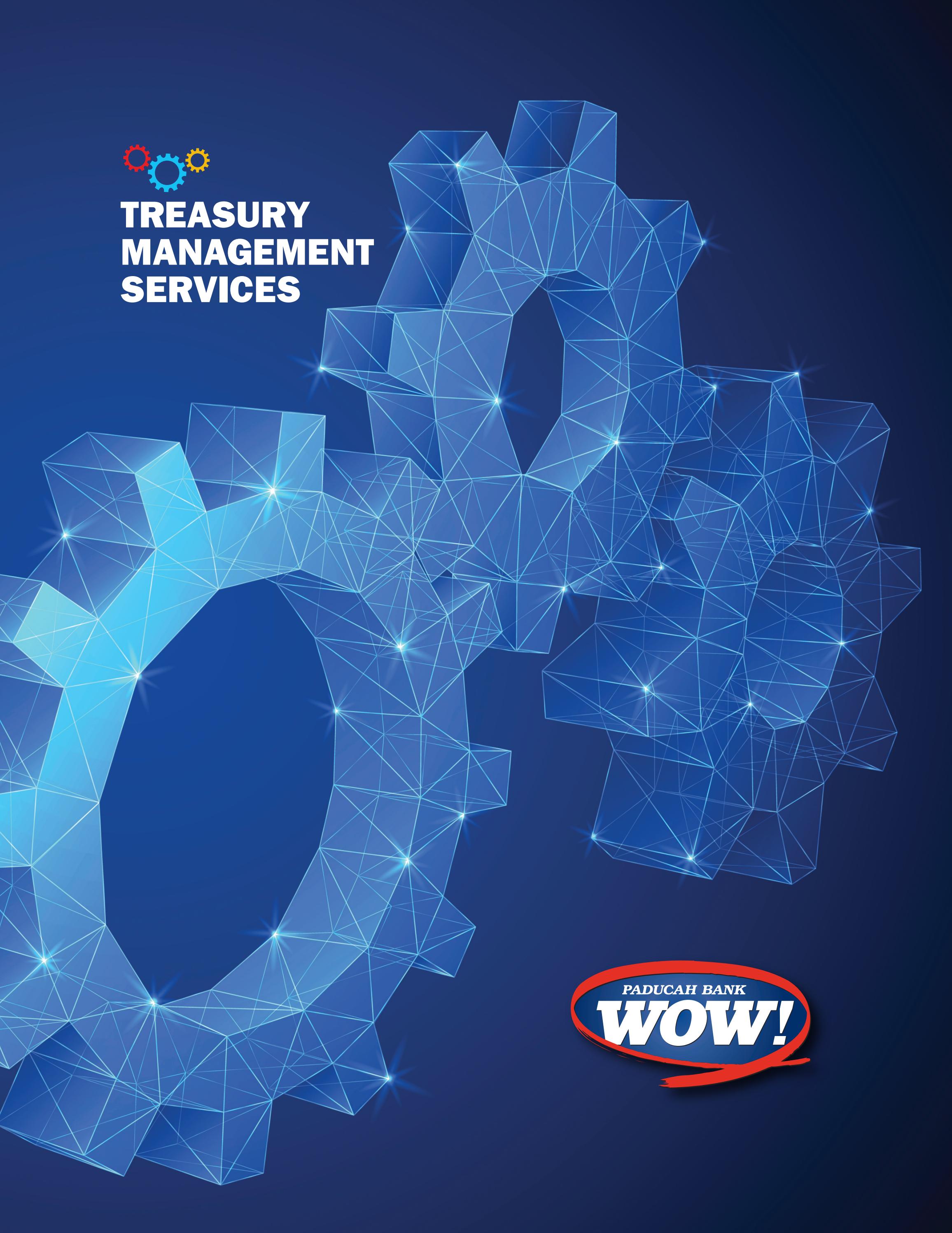 Treasury Services Brochure by PaducahBank - Issuu