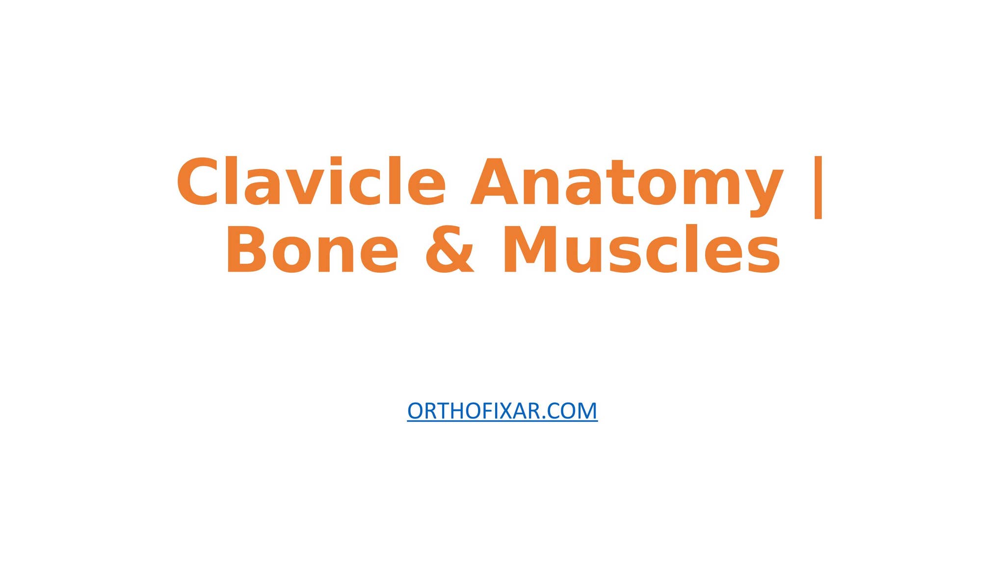Clavicle Anatomy | Bone & Muscles by Orthofixar - Issuu