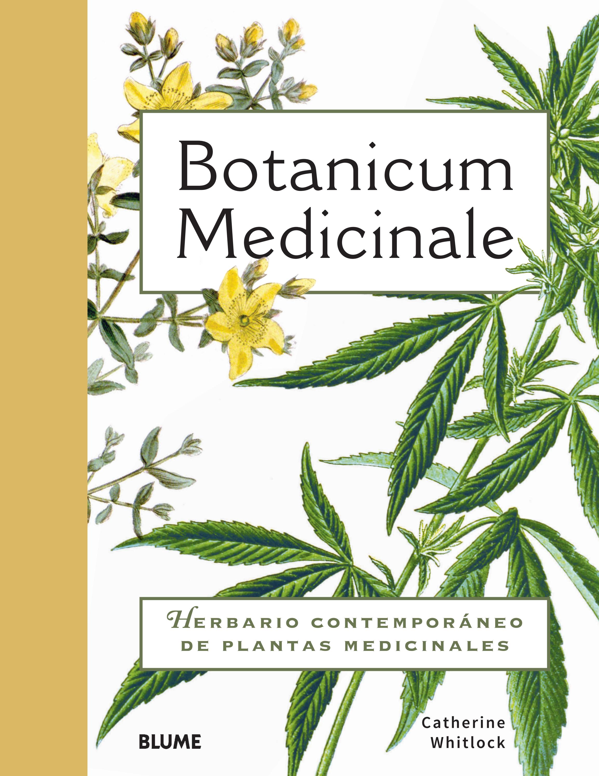 Botanicum Medicinale by Editorial Blume - Issuu