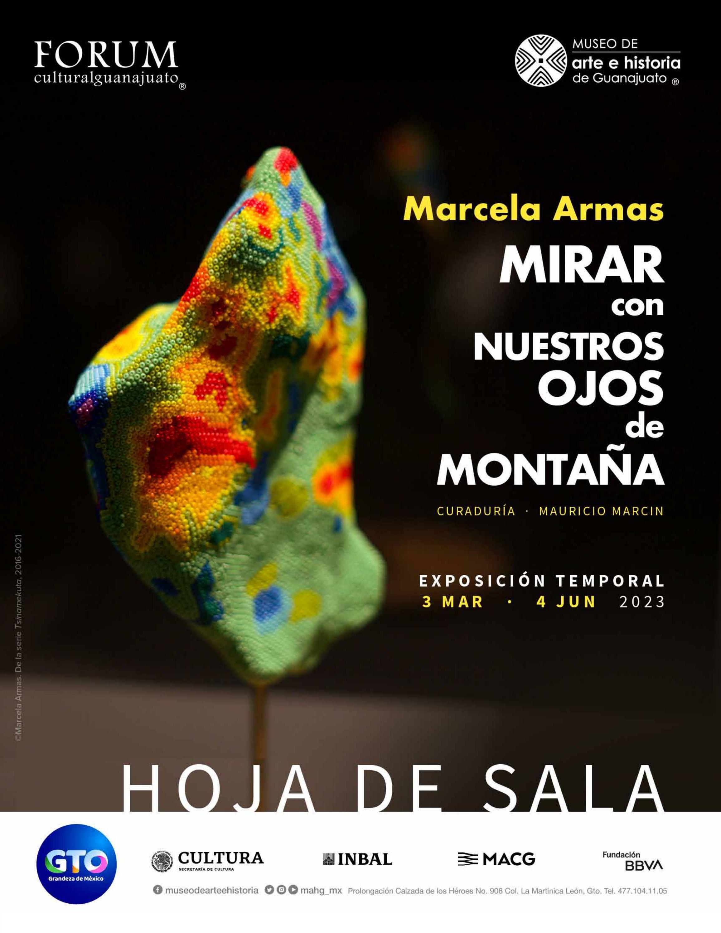 Mirar con nuestros ojos de montaña. Marcela Armas Curaduría: Mauricio ...