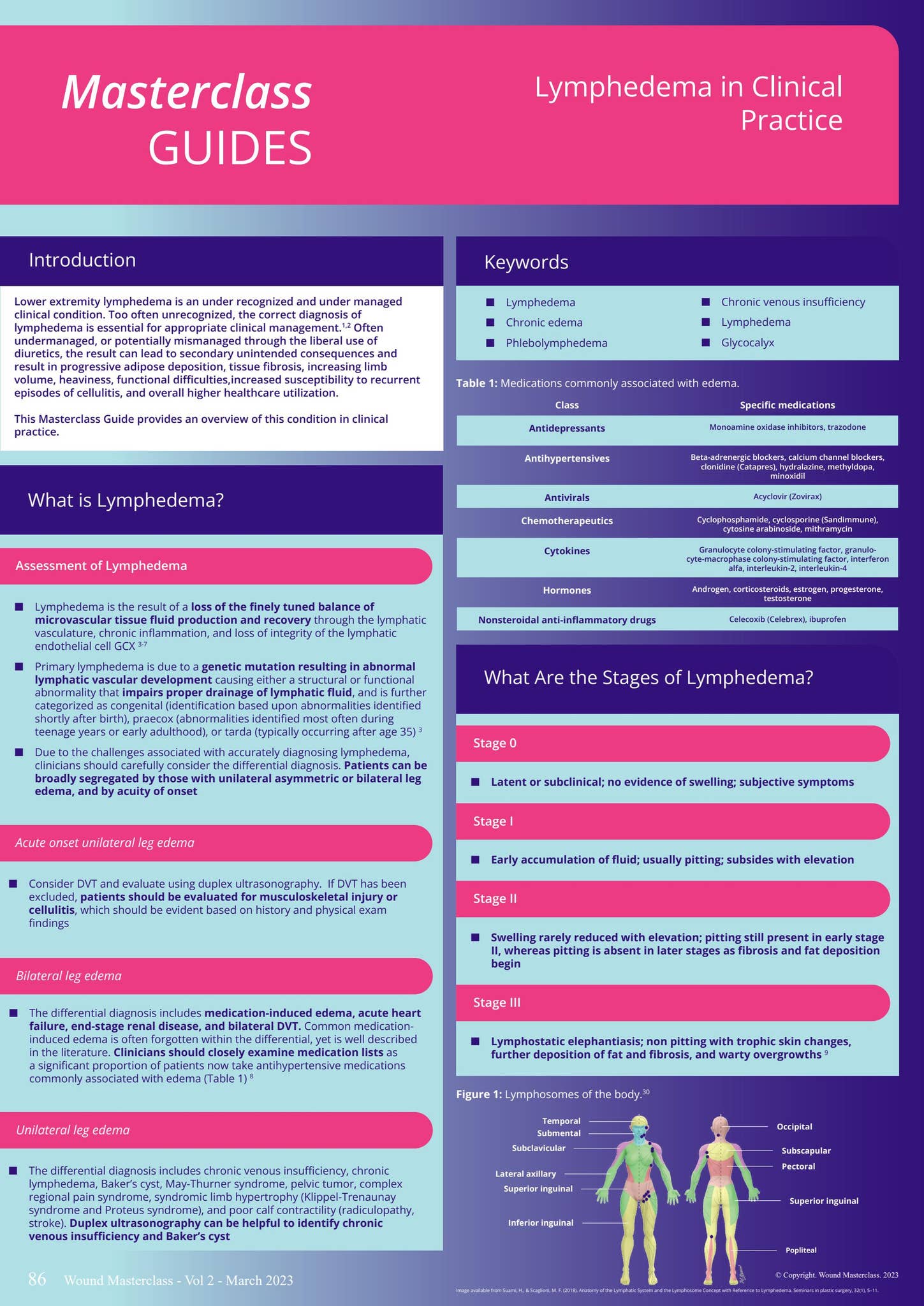 Masterclass Guides: Lymphedema in Clinical Practice by woundmasterclass ...