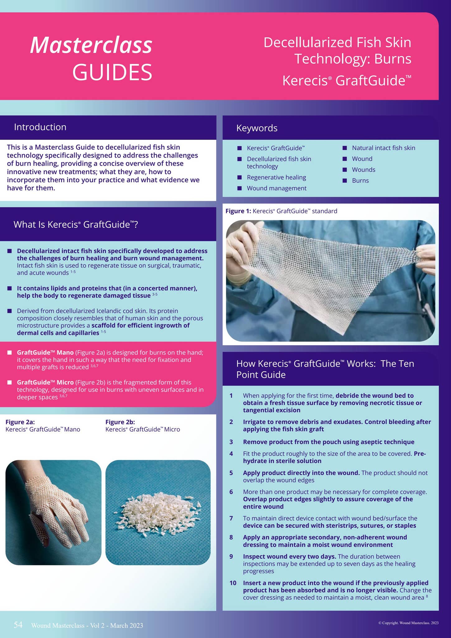Masterclass Guides: Decellularized Fish Skin Technology: Burns by ...