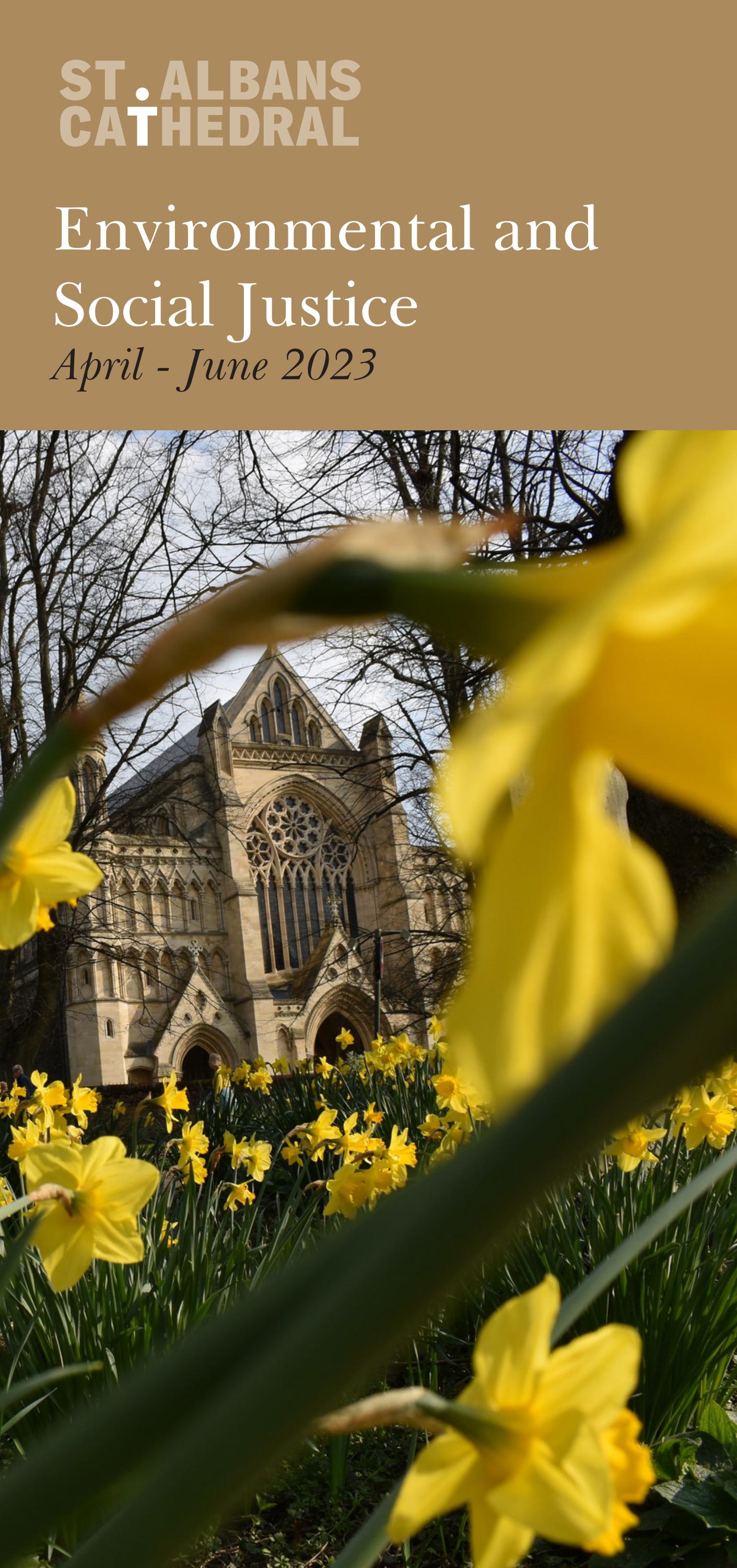 Environmental and Social Justice Newsletter | April - June 2023 by St ...