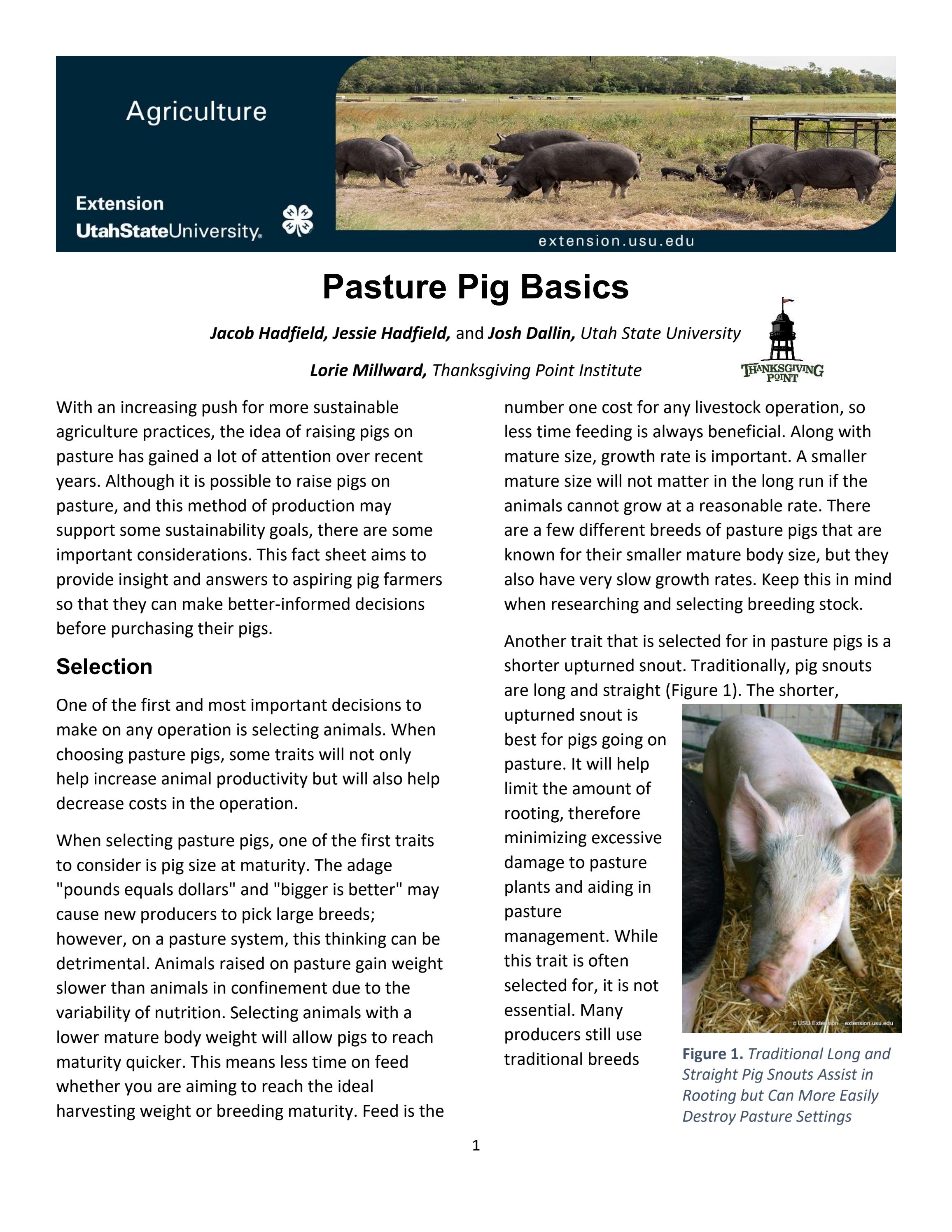 Pasture Pig Basics by Utah State University Extension - Issuu
