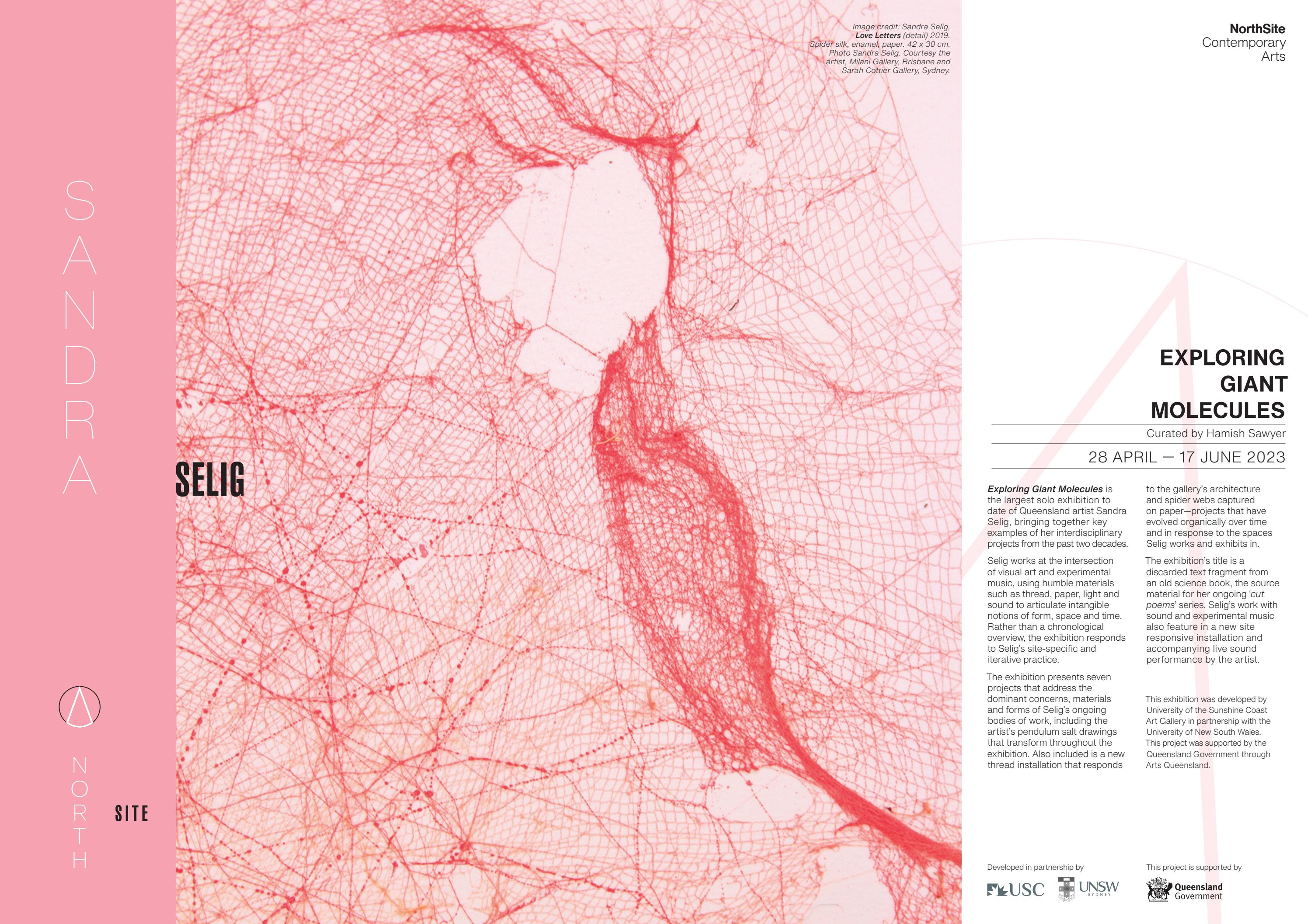 Sandra Selig - Exploring Giant Molecules by NorthSite Contemporary Arts - Issuu