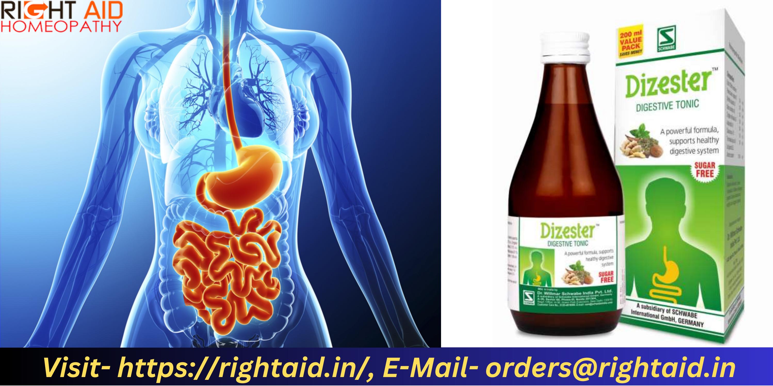 Dr Willmar Schwabe India Dizester Digestive Tonic Sugar Free by ...