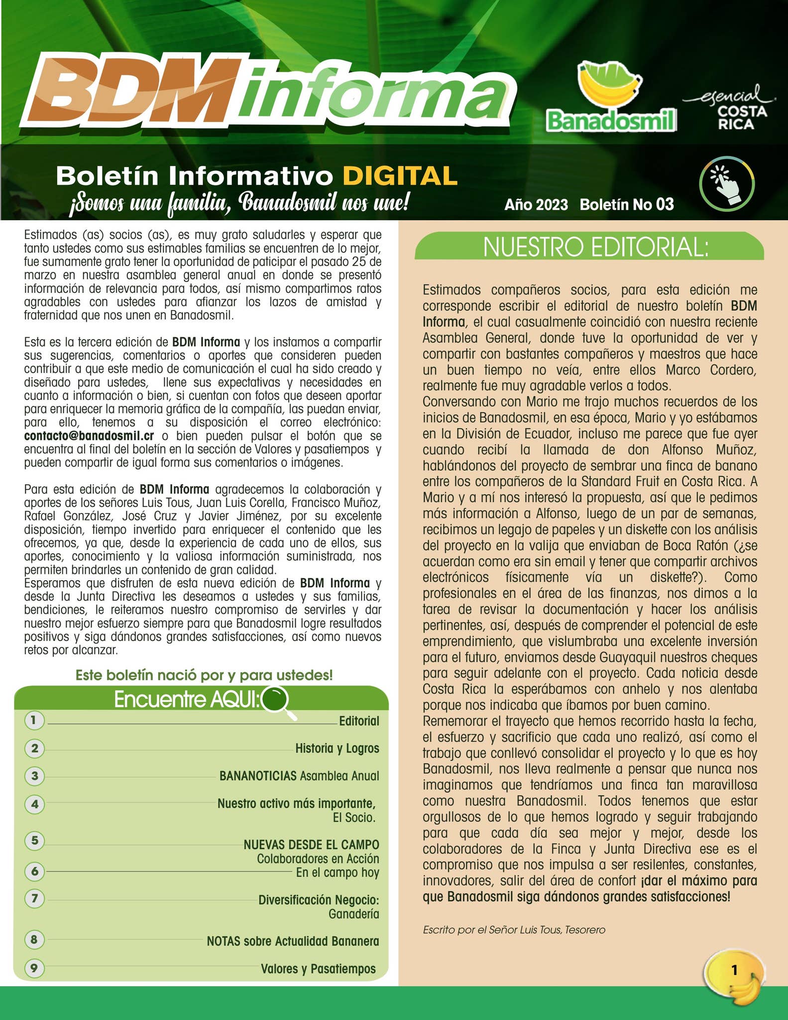 BDM Informa #3 by banadosmil - Issuu