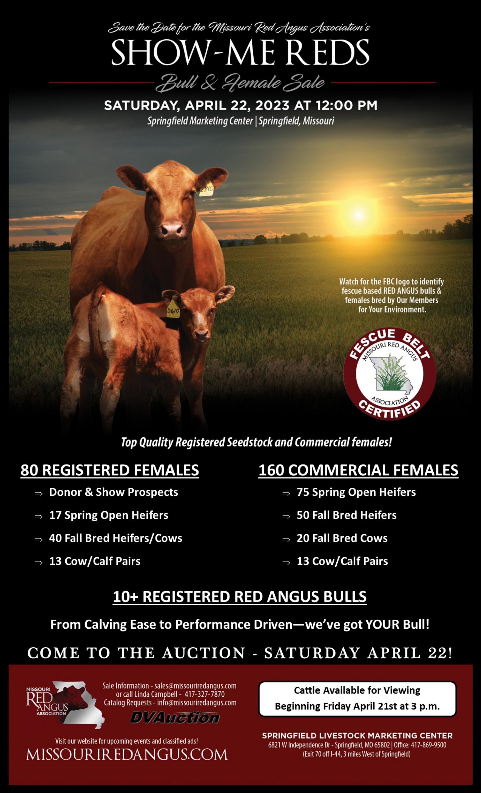 Missouri Red Angus Association - 2023 Show Me Reds Sale SMS by ...