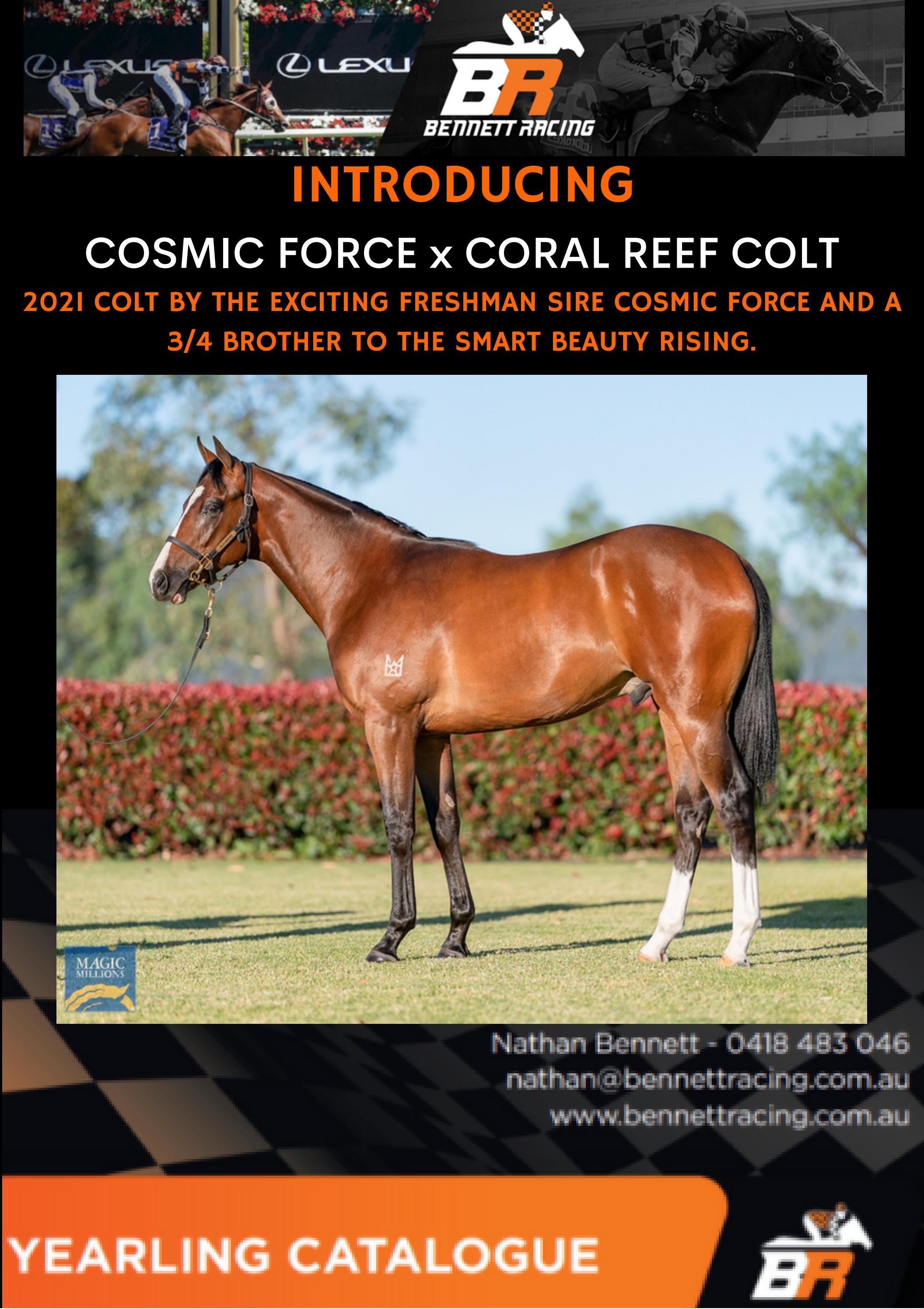 COSMIC FORCE x CORAL REEF COLT by bennettracing - Issuu