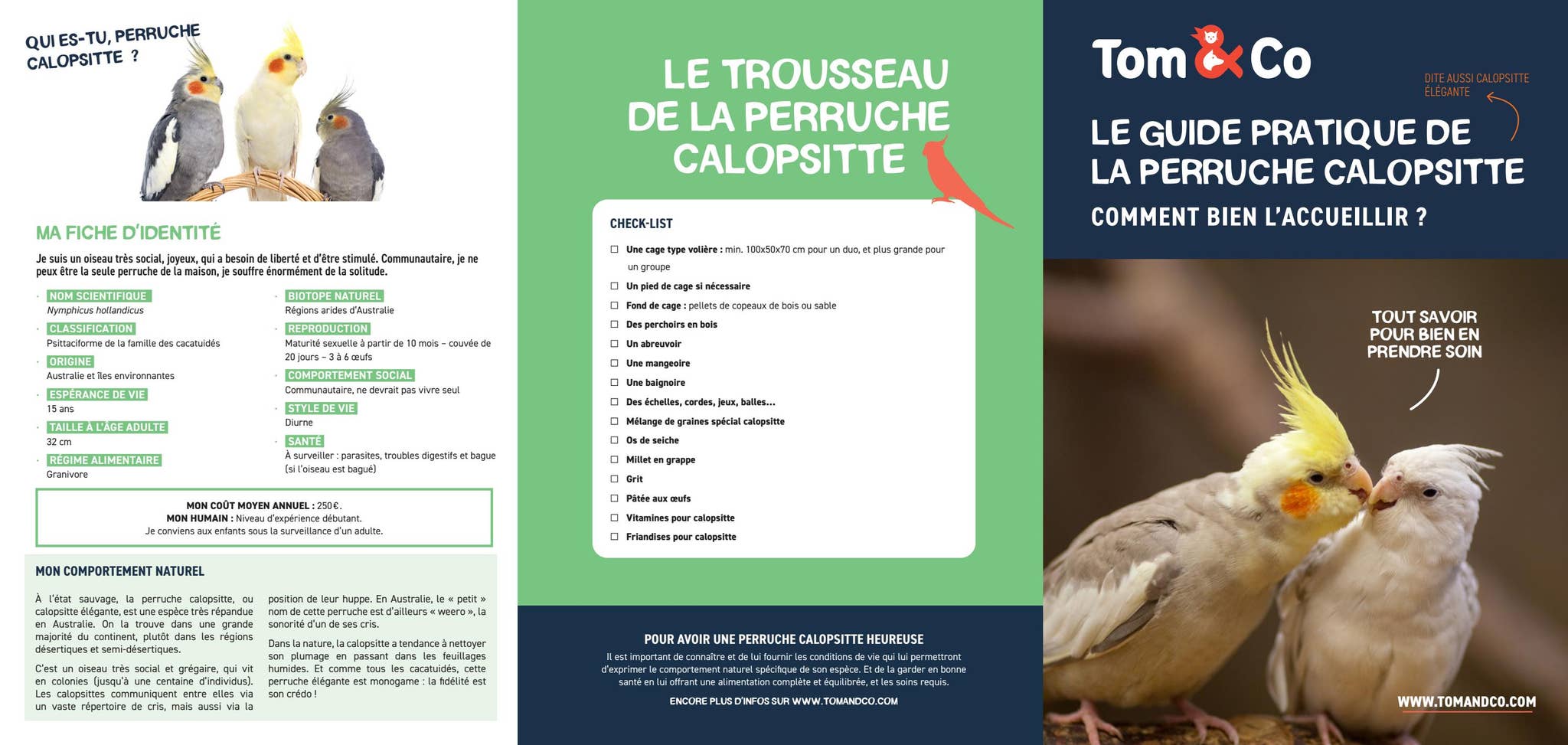 Guide pratique - Oiseaux - Perruche calopsitte - BEFR by tomandco6 - Issuu
